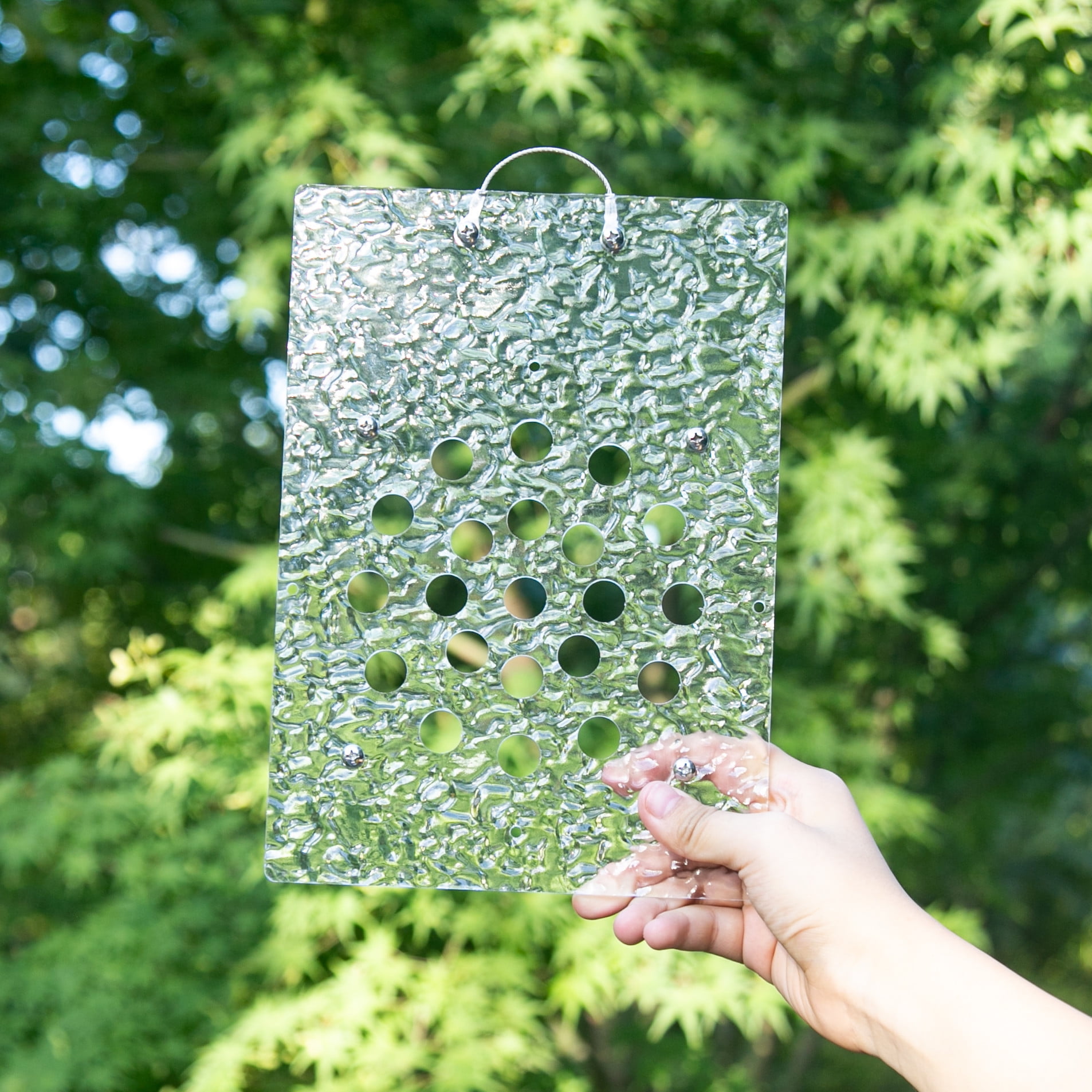 DIAEDGE 1 Set Acrylic Mounting Board Plant Mounting Board Plant ...