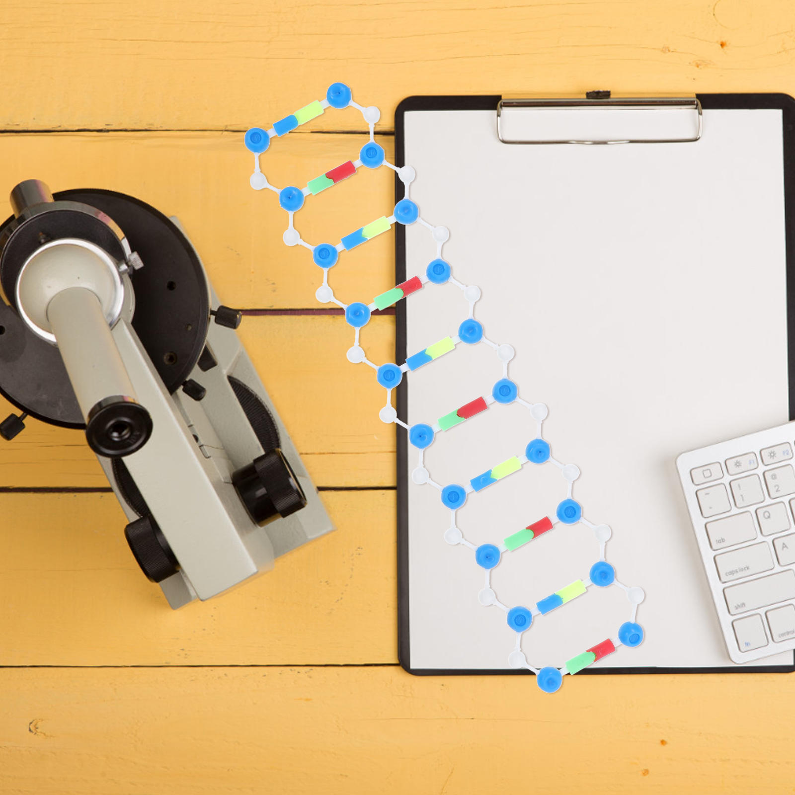 DIAEDGE 1 Set Dna Model Science Classroom Decor Double Helix Model ...