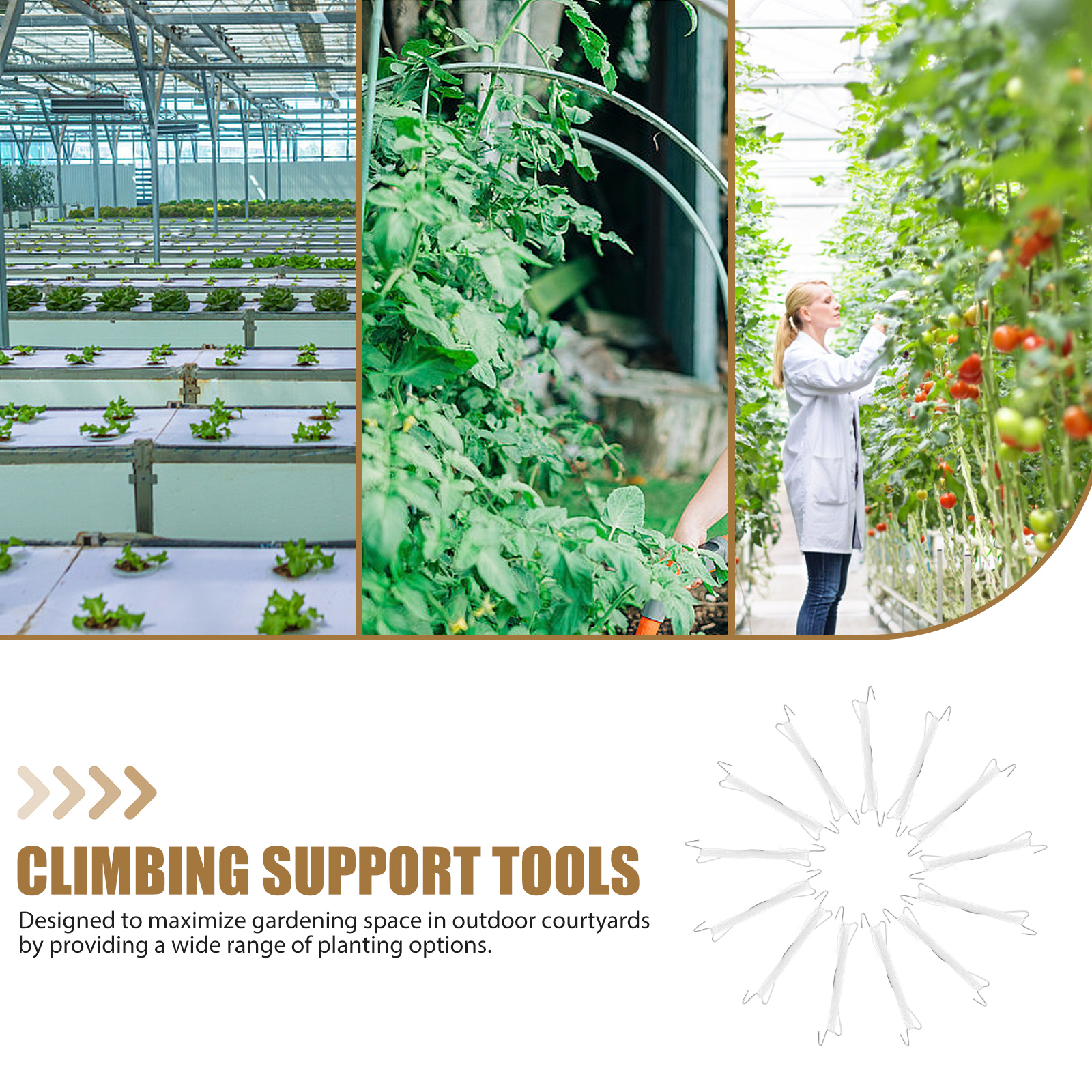 DIAEDGE 1 Set Tomato Clips For String Trellis Tomato Clips Plant Vine ...