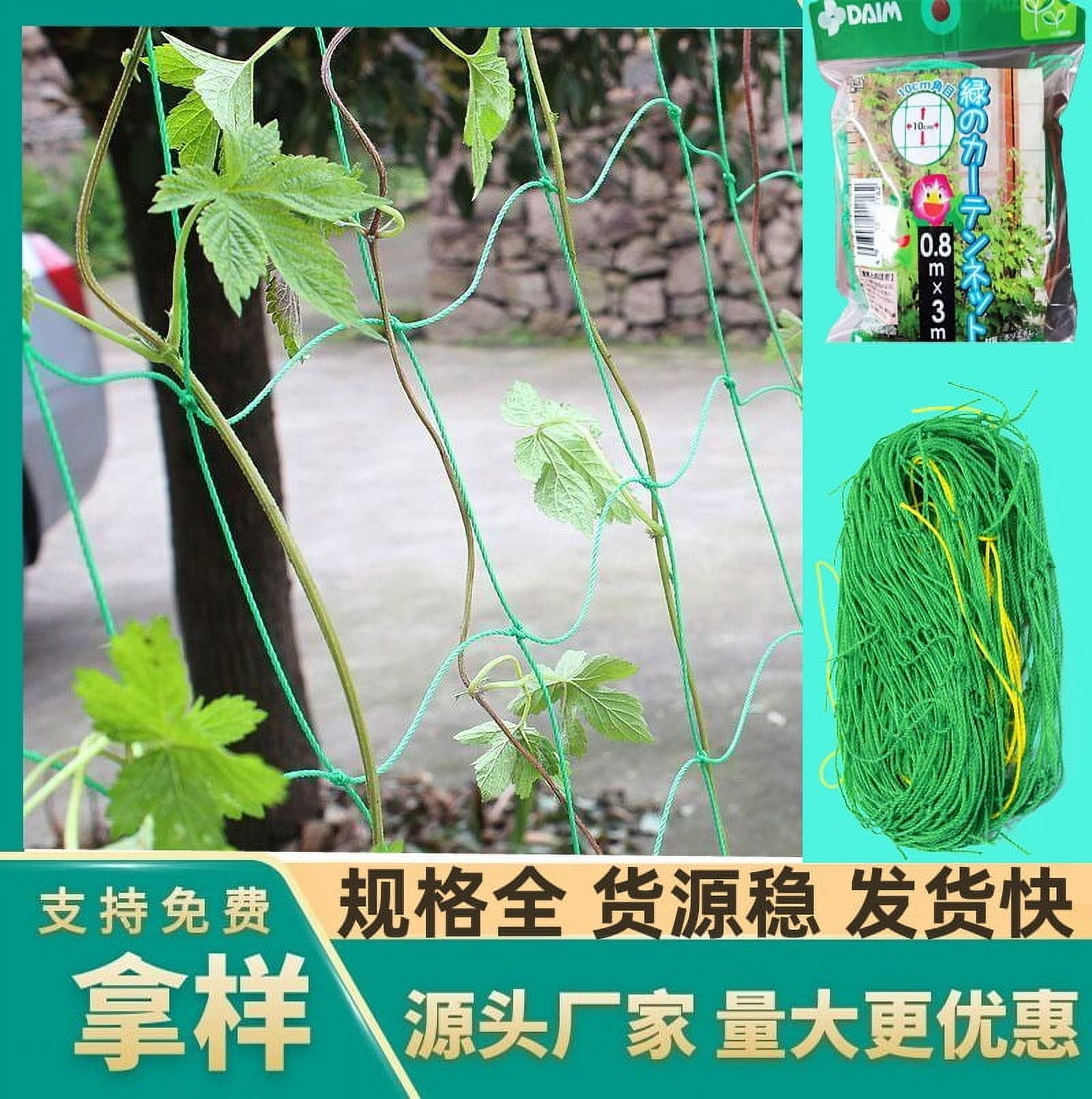 1 Set of Trellis Netting Garden Netting Plants Trellis Climbing Plants ...