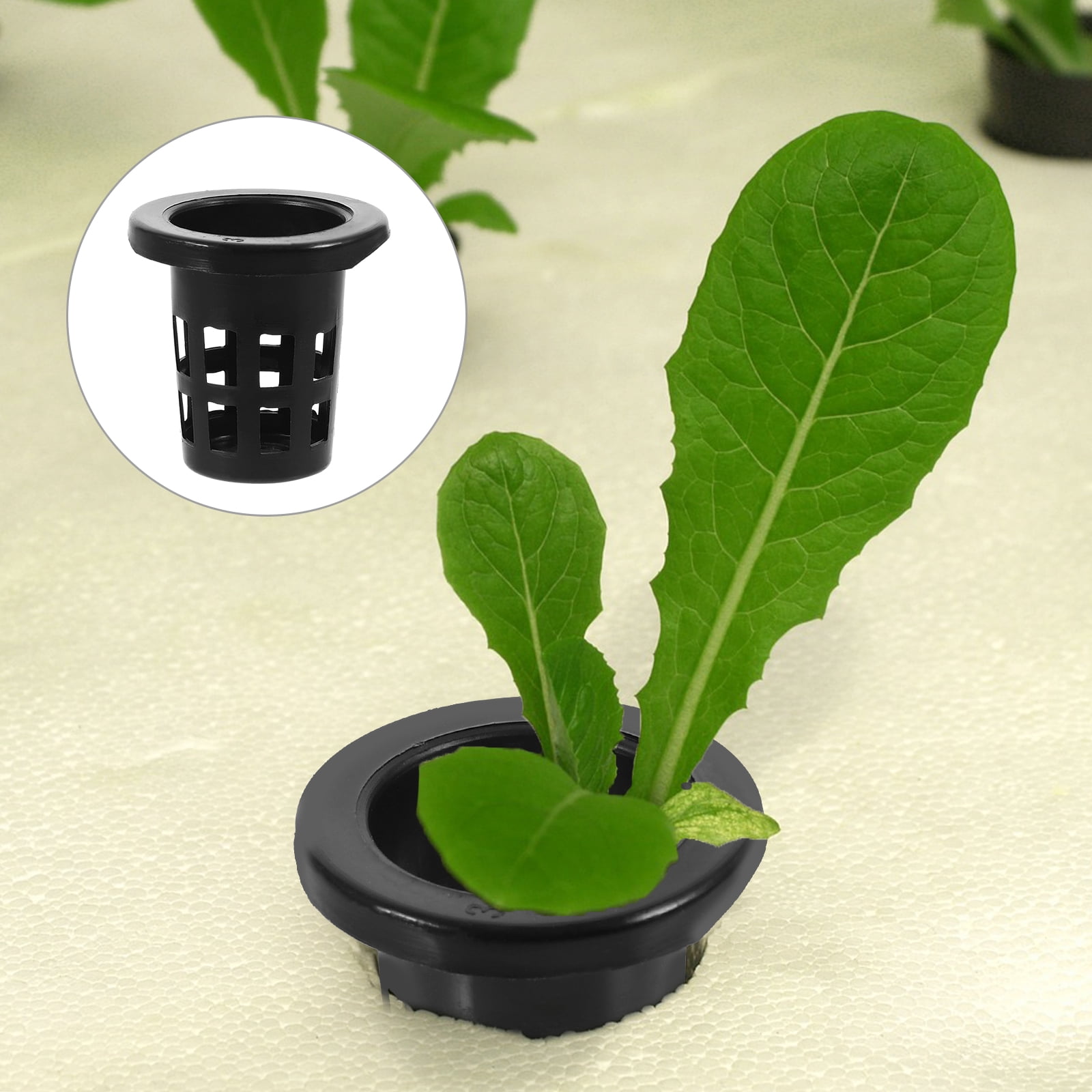 DIAEDGE 100Pcs Hydroponic Pots Garden Balcony Planting Net Pots ...