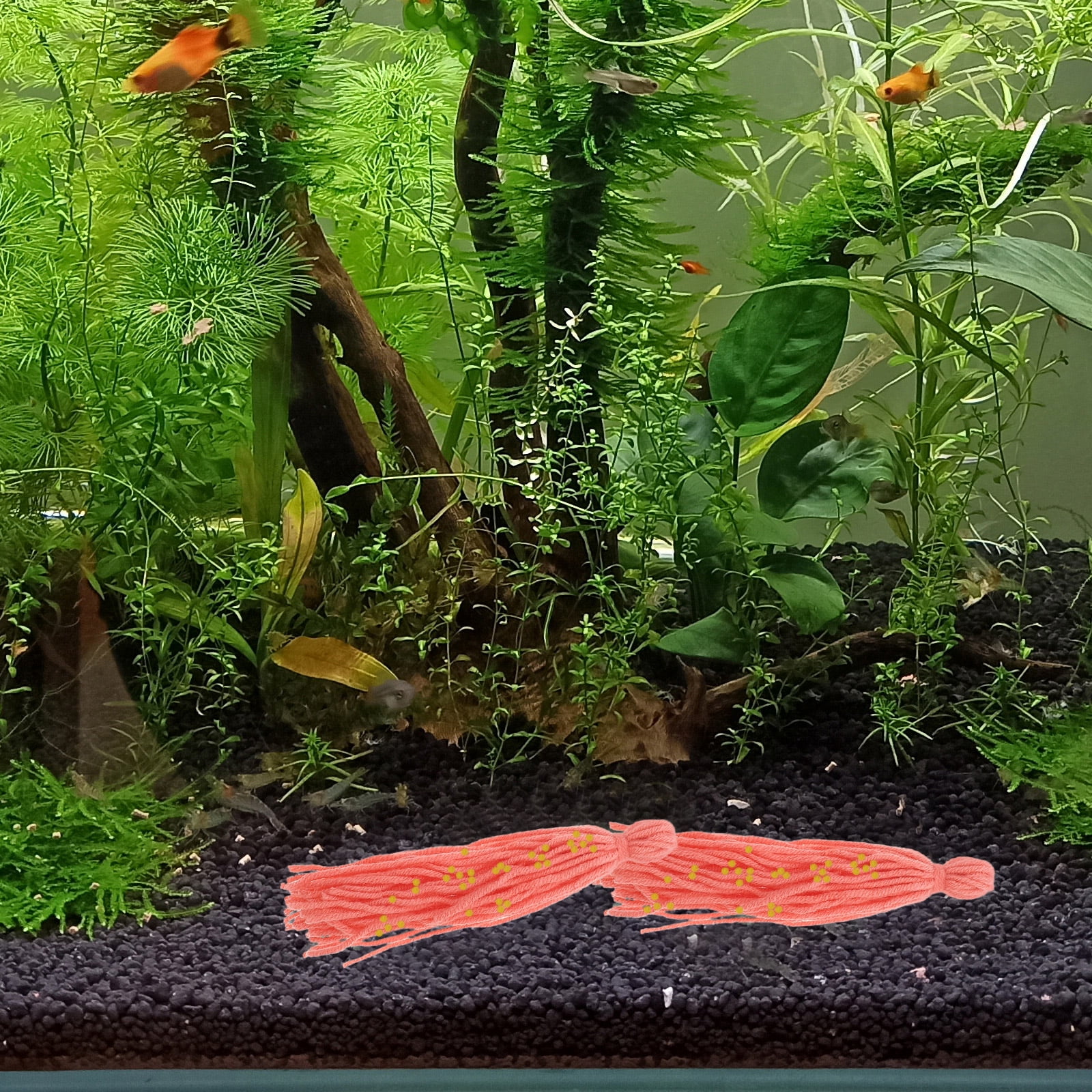 DIAEDGE 10pcs Fish Tank Floating Fish Breeding Mop Woolen Yarn Fish ...