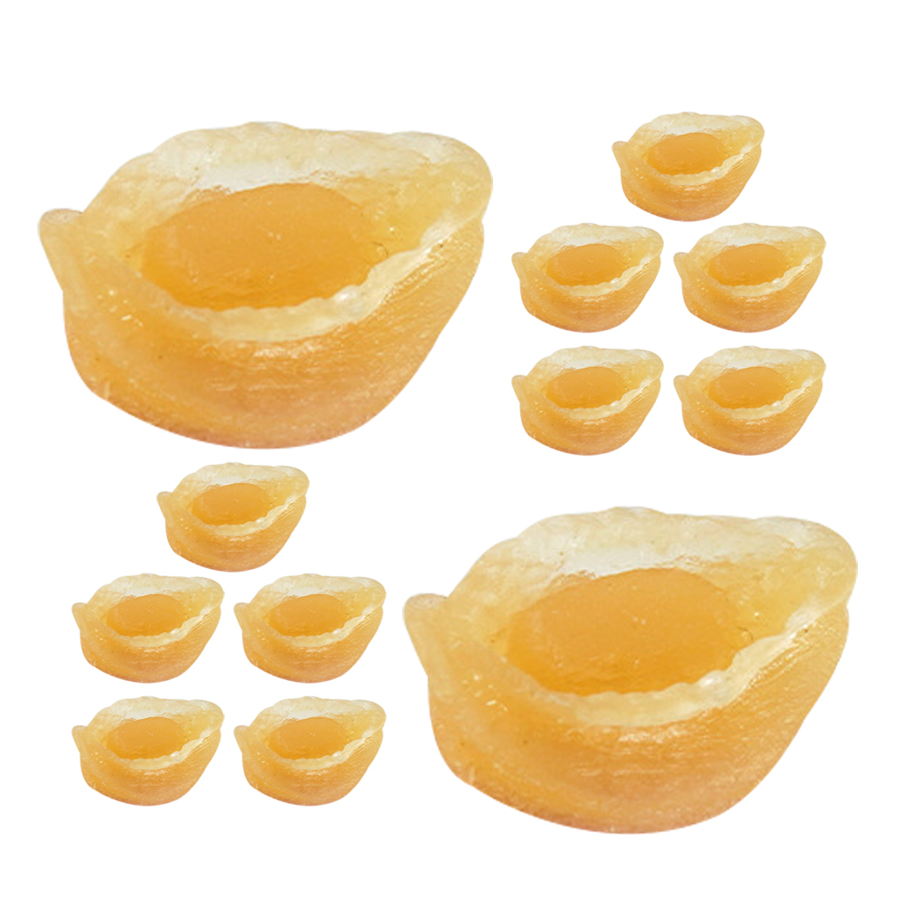 HEMOTON Lifelike Fake Abalone Models for Kids Playing Made of Safe PVC ...