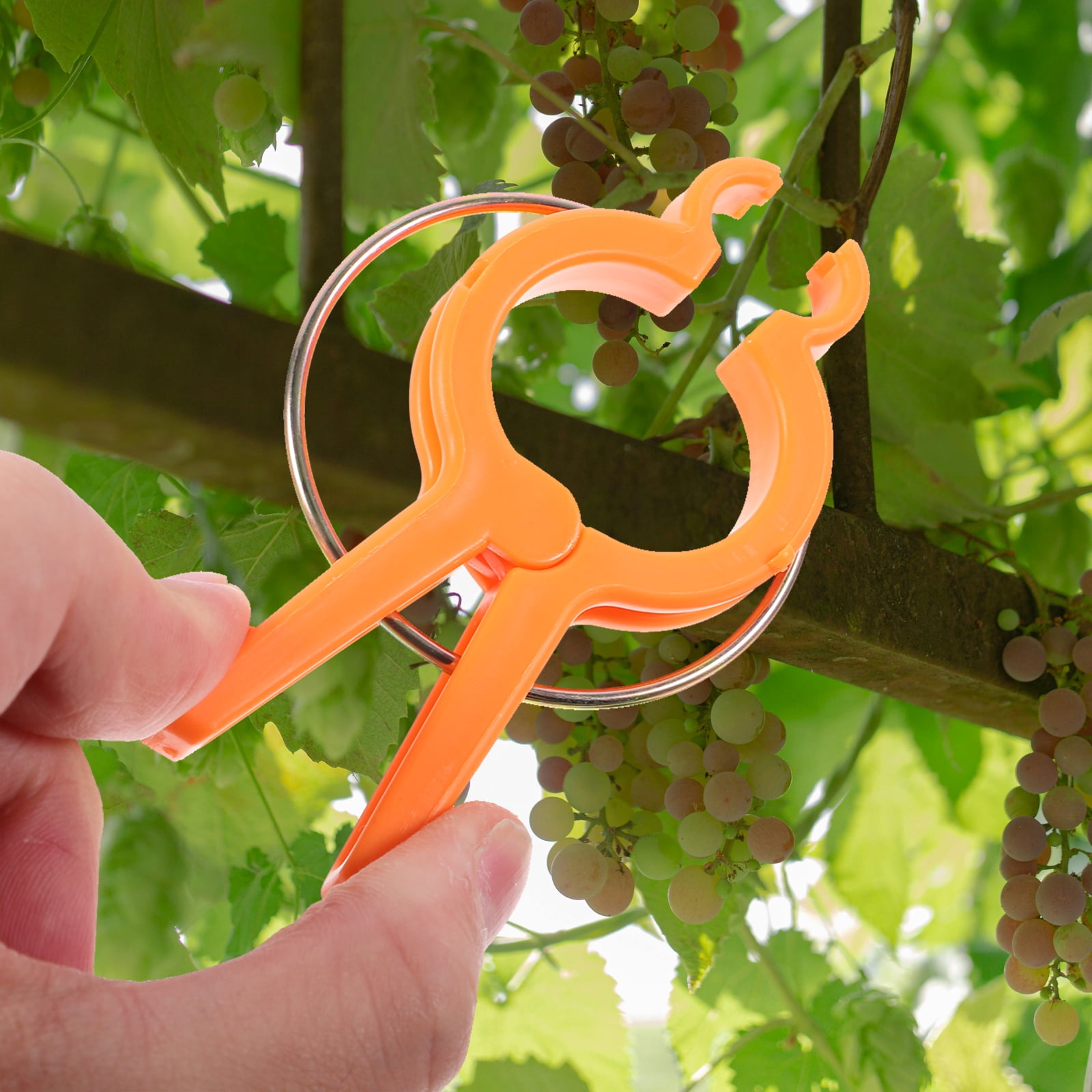 DIAEDGE 12pcs Tomato Stem Support Clips Plant Stem Straightening Clips ...