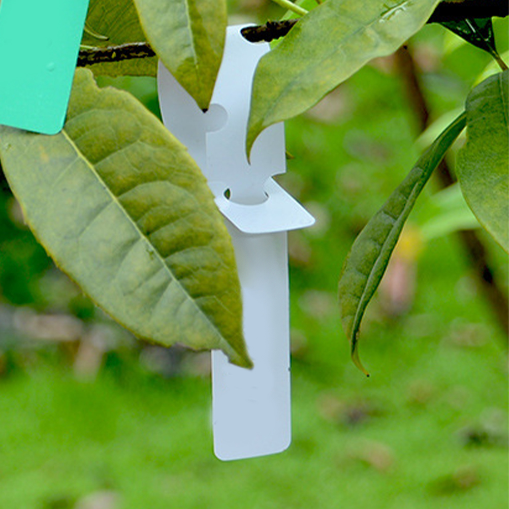 DIAEDGE 200pcs Horticultural Tags Hanging Tree Tags Landscape Signs ...