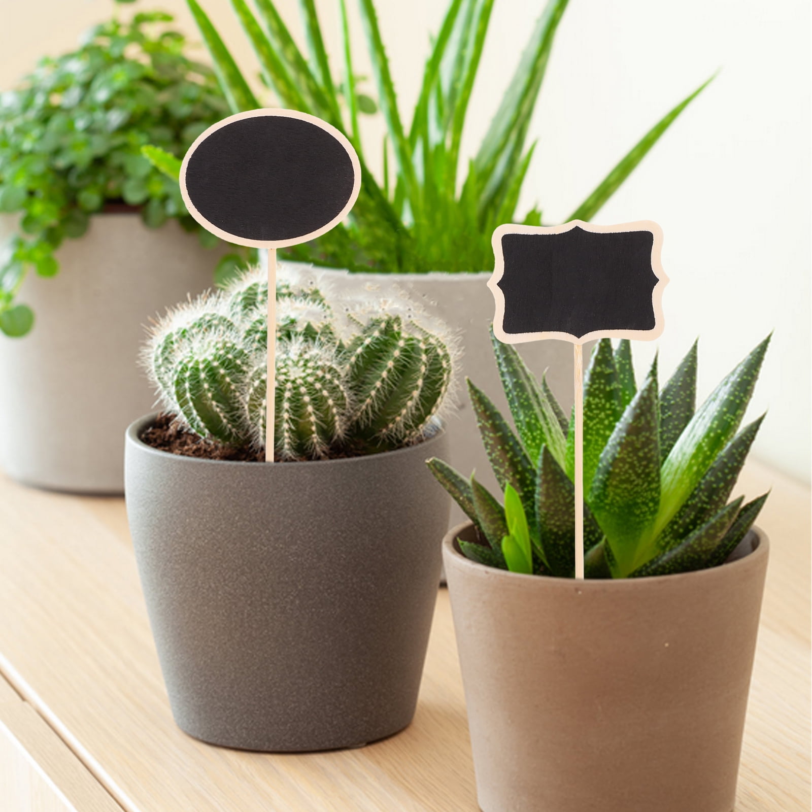 DIAEDGE 20pcs Farm Plant Label Garden Succulent Label Chalkboard Plants ...