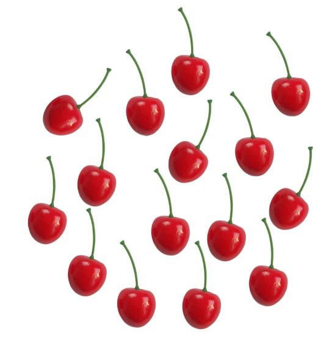 DIAEDGE 20pcs Realistic Mini Fruit Model Lifelike Artificial Cherries ...