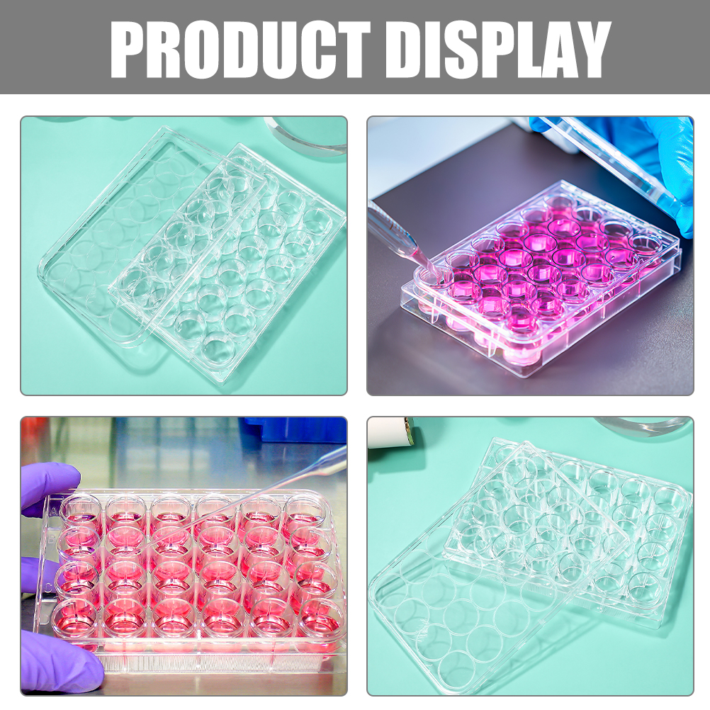 DIAEDGE 2pcs Cultivation Plates Cell Culture Plates 24-hole Laboratory ...