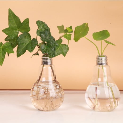 DIAEDGE 2pcs Light Bulb Glass Vase Mini Hyacinth Bud Vase Decorative ...