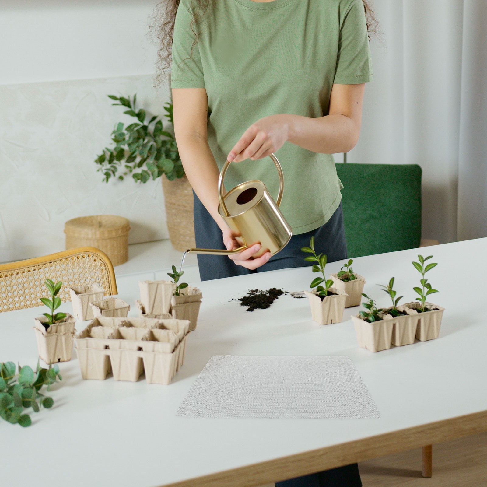 DIAEDGE 4Pcs Microgreens Seed Sheet Seeding Tray Mesh Pad Seeding Tray ...