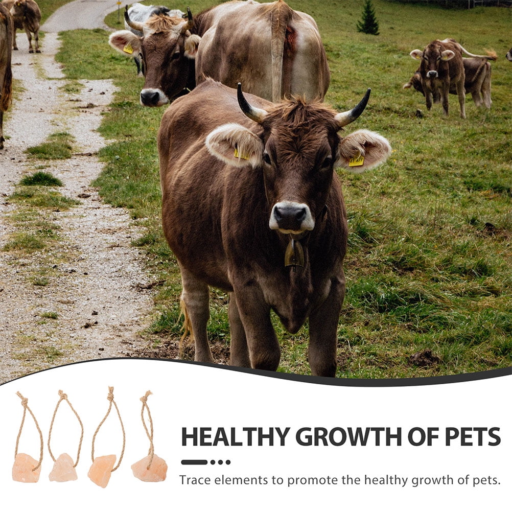 DIAEDGE 4pcs Salt Lick for Deer Livestock Salt Lick for Rabbits with ...