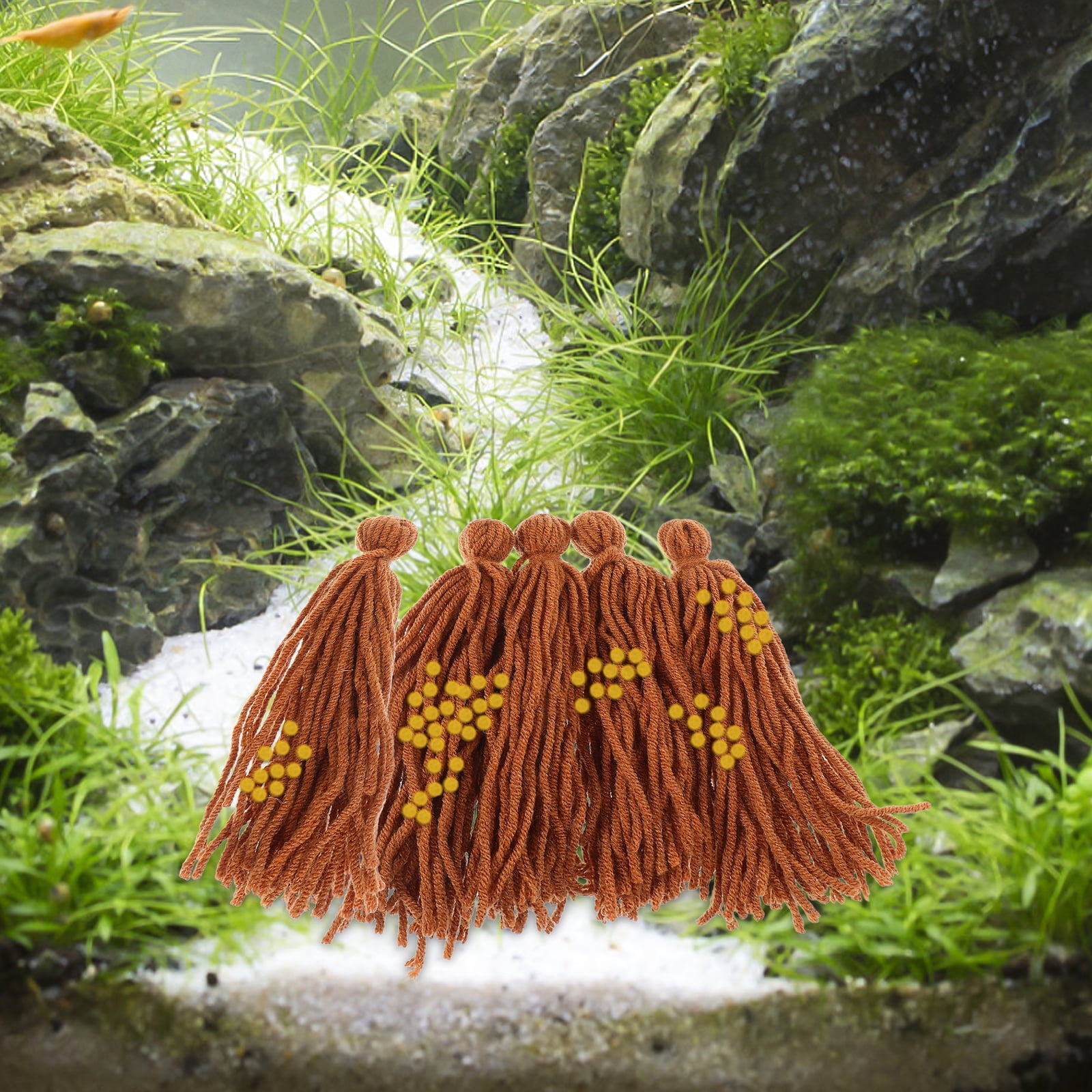 DIAEDGE 5Pcs Fish Spawning Breed Mops Angelfish Aquatic Pet Breeding ...