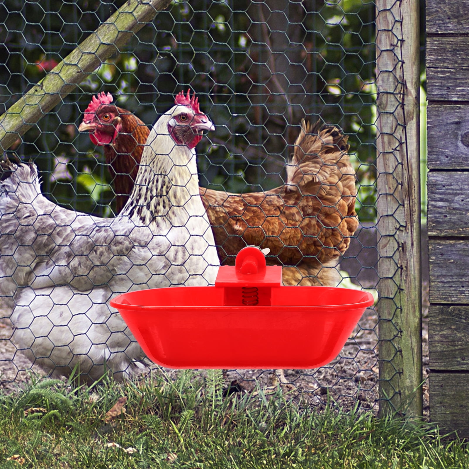 DIAEDGE 5pcs Chicken Waterer Cups Automatic Large Poultry Watering cups ...