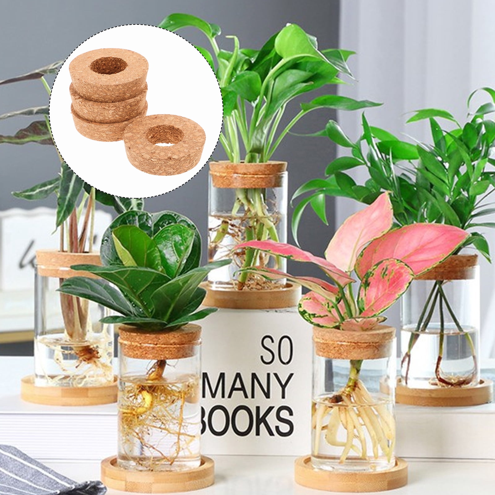 DIAEDGE 6pcs Cork Lids For Glass Planter Hydroponics Plant Cork ...