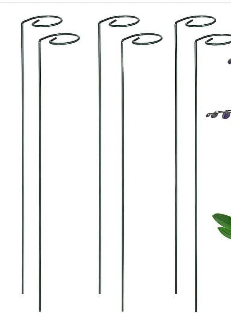 DIAEDGE 6pcs Plant Support Stakes Garden Stakes Potted Plant Trellis ...