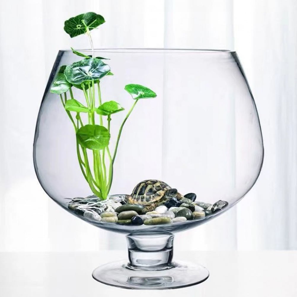 DIAEDGE Clear Glass Fish Bowl Vase for Home Office Desktop Decoration ...