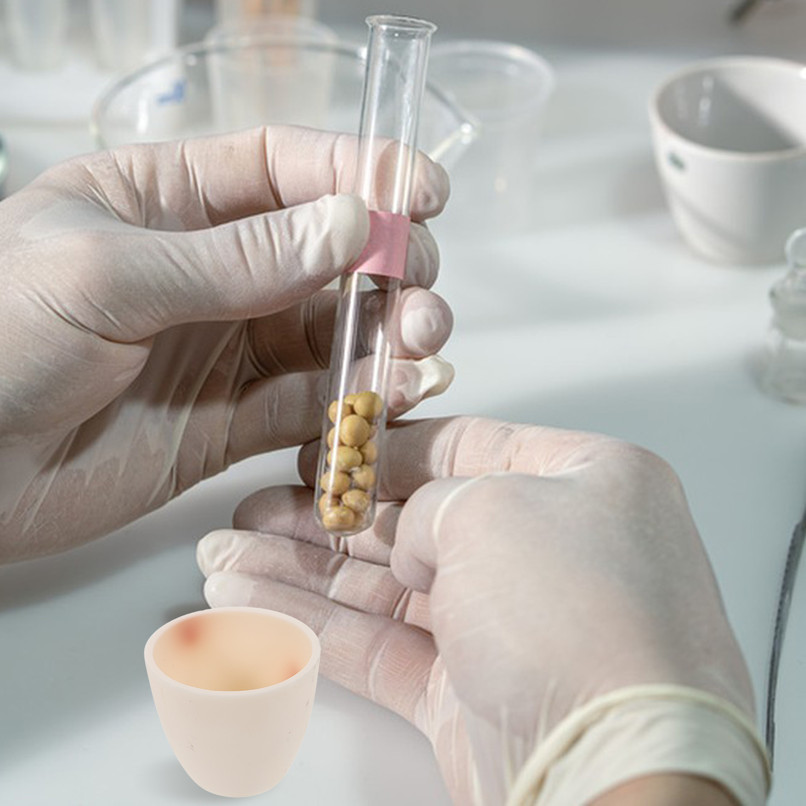 DIAEDGE Crucible Laboratory Crucible Ceramic Crucible Bowl Holder High ...