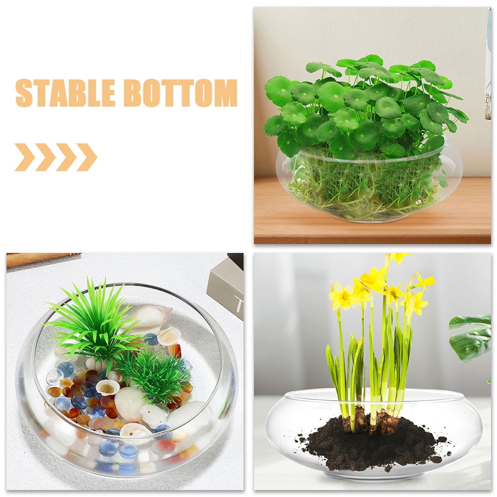 DIAEDGE Glass Planter Pot Glass Succulents Pot Small Flowerpot Small ...