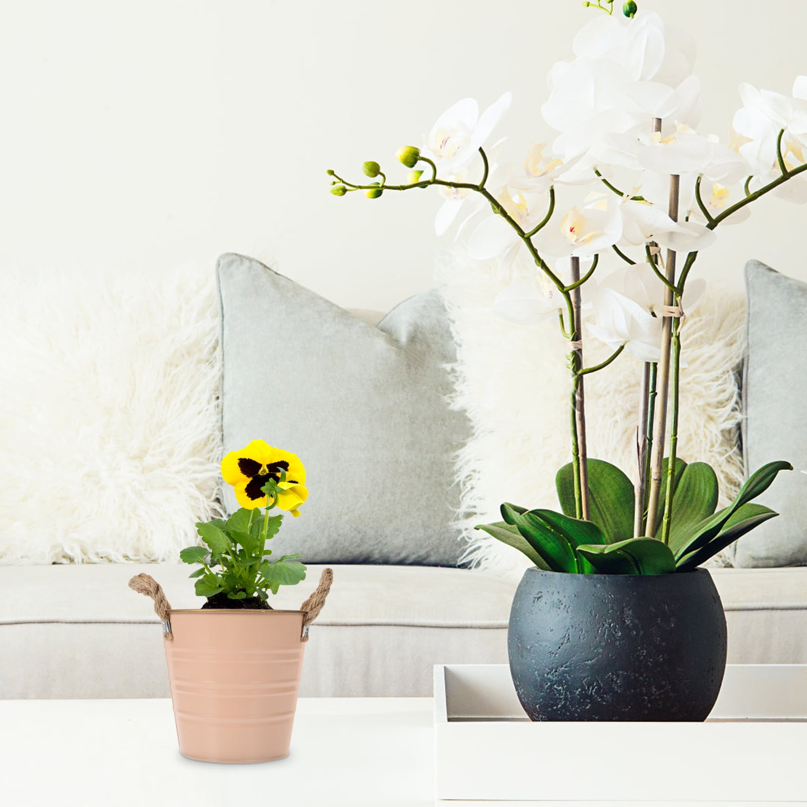 DIAEDGE Handheld Iron Flower Pot Cast Iron Flower Planter Pot Garden ...