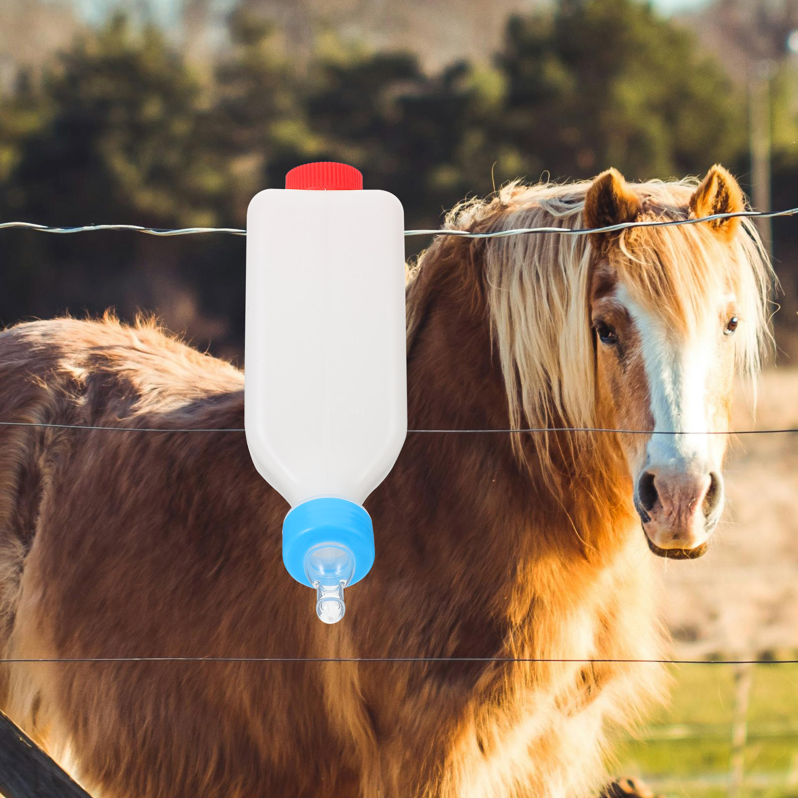 DIAEDGE Lamb Cow Nursing Bottle Reusable Milk Feeding Bottle Farmhouse ...