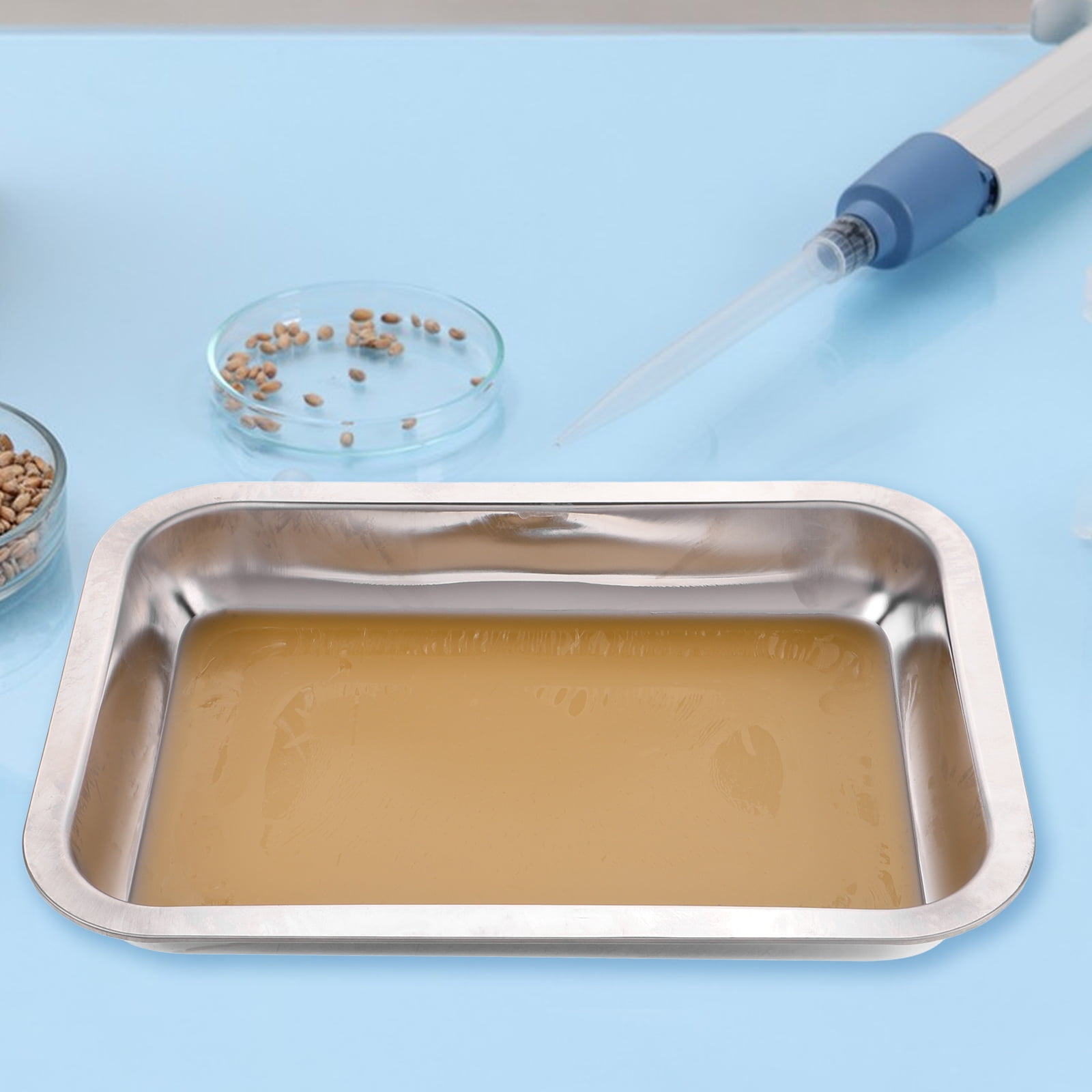 DIAEDGE Multi-Functional Stainless Steel Dissection Tray with Wax ...