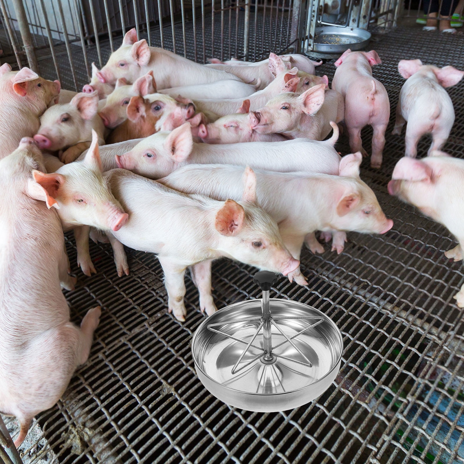 DIAEDGE Pig Feeder Convenient Pig Feeding Food Container Livestock ...