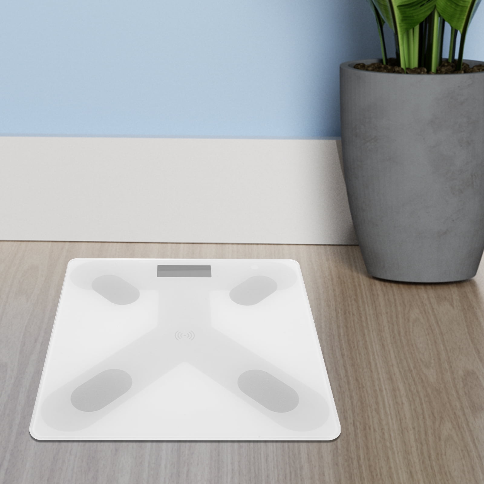 Portable Weight Scale Weight Balance Scale Small Weight Scale Daily Use ...