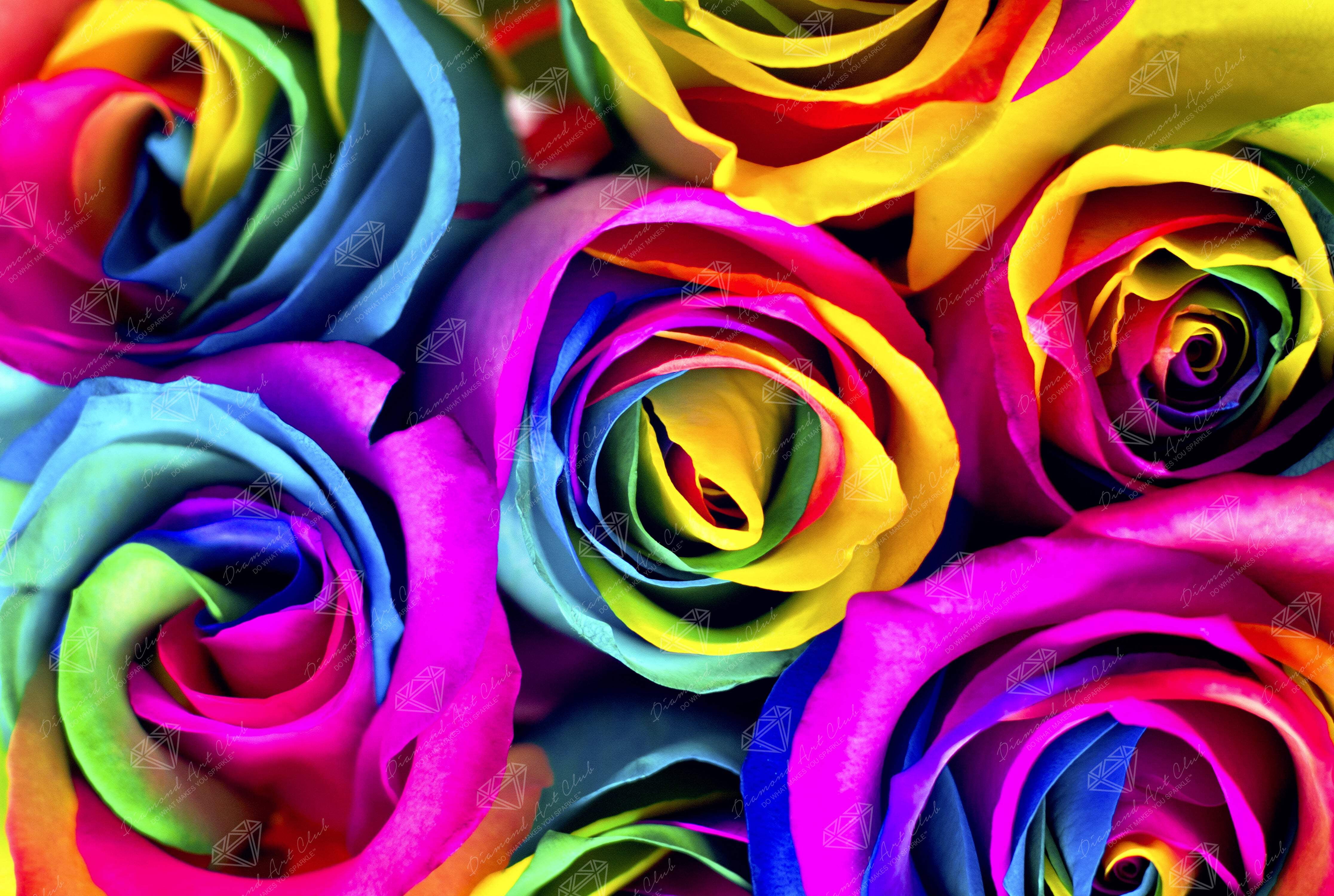 DIAMOND ART CLUB Rainbow Roses Diamond Painting Kit 25" x 17" (64cm x ...