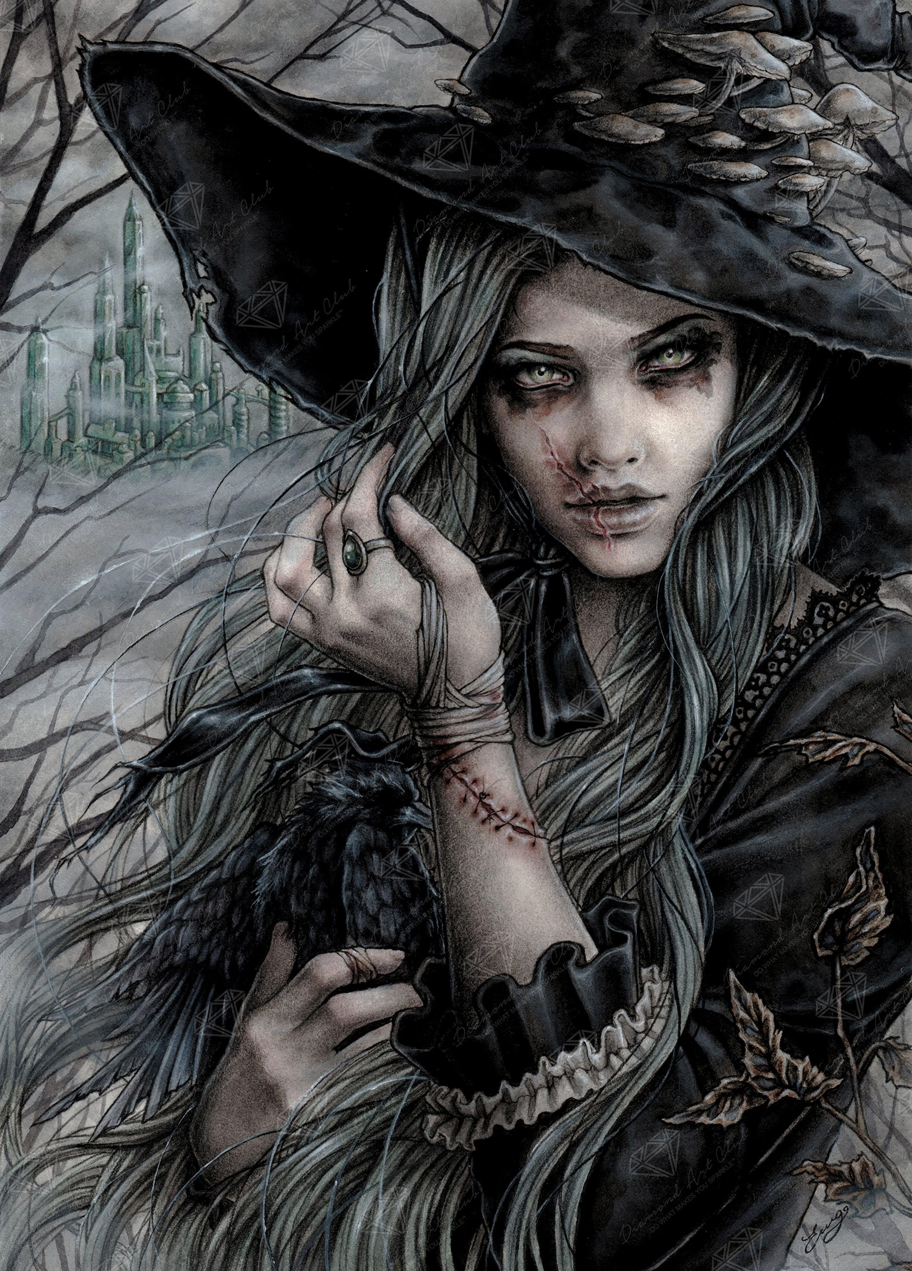 DIAMOND ART CLUB The Wicked Witch Diamond Painting Kit - Walmart.com