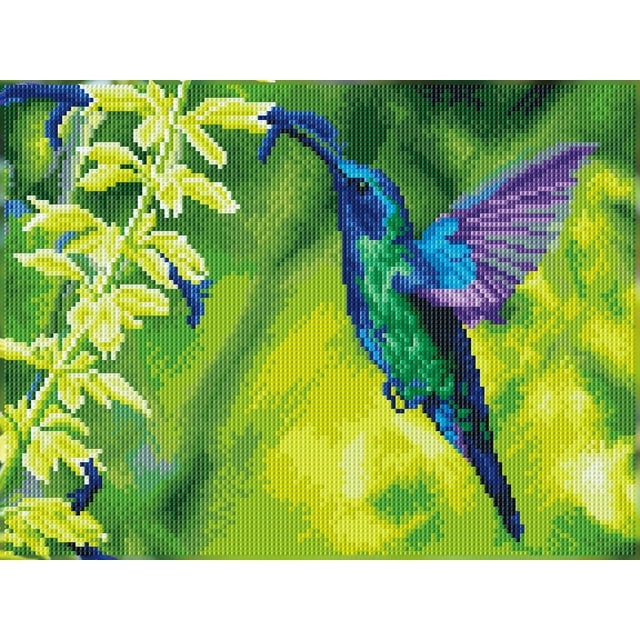 DIAMOND DOTZ® Hummingbird Garden Special Edition Diamond Painting Kit ...