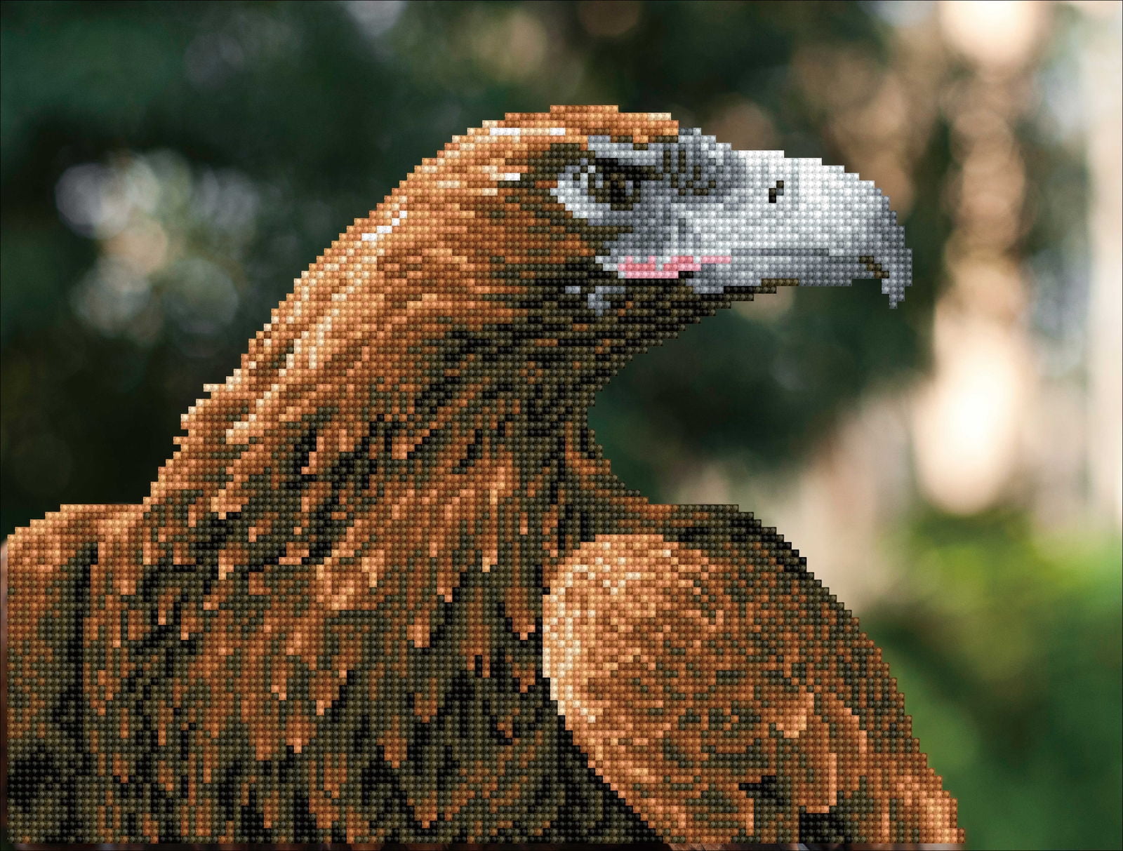 Diamond Dotz Kits - Majesty, Partial Drill, Round Dotz, Diamond ...