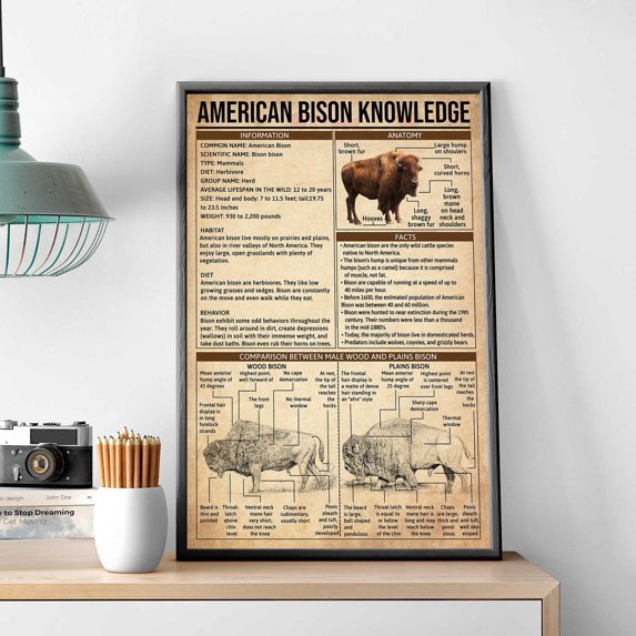 DIANANA American Bison Knowledge Art Print, Anatomy Of American Bison ...