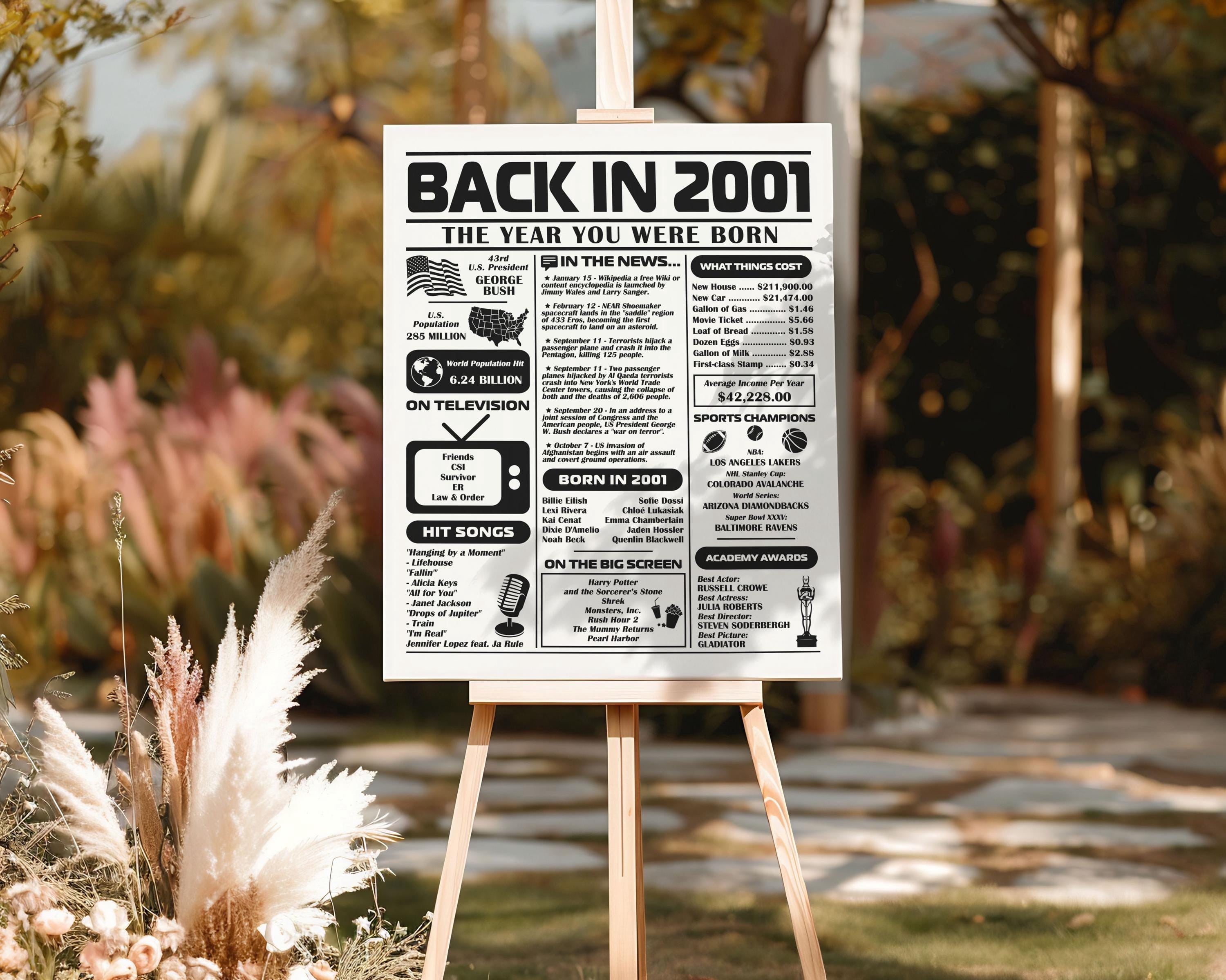 DIANANA Back in 2001 Sign: Personalized 25th Birthday/Anniversary ...