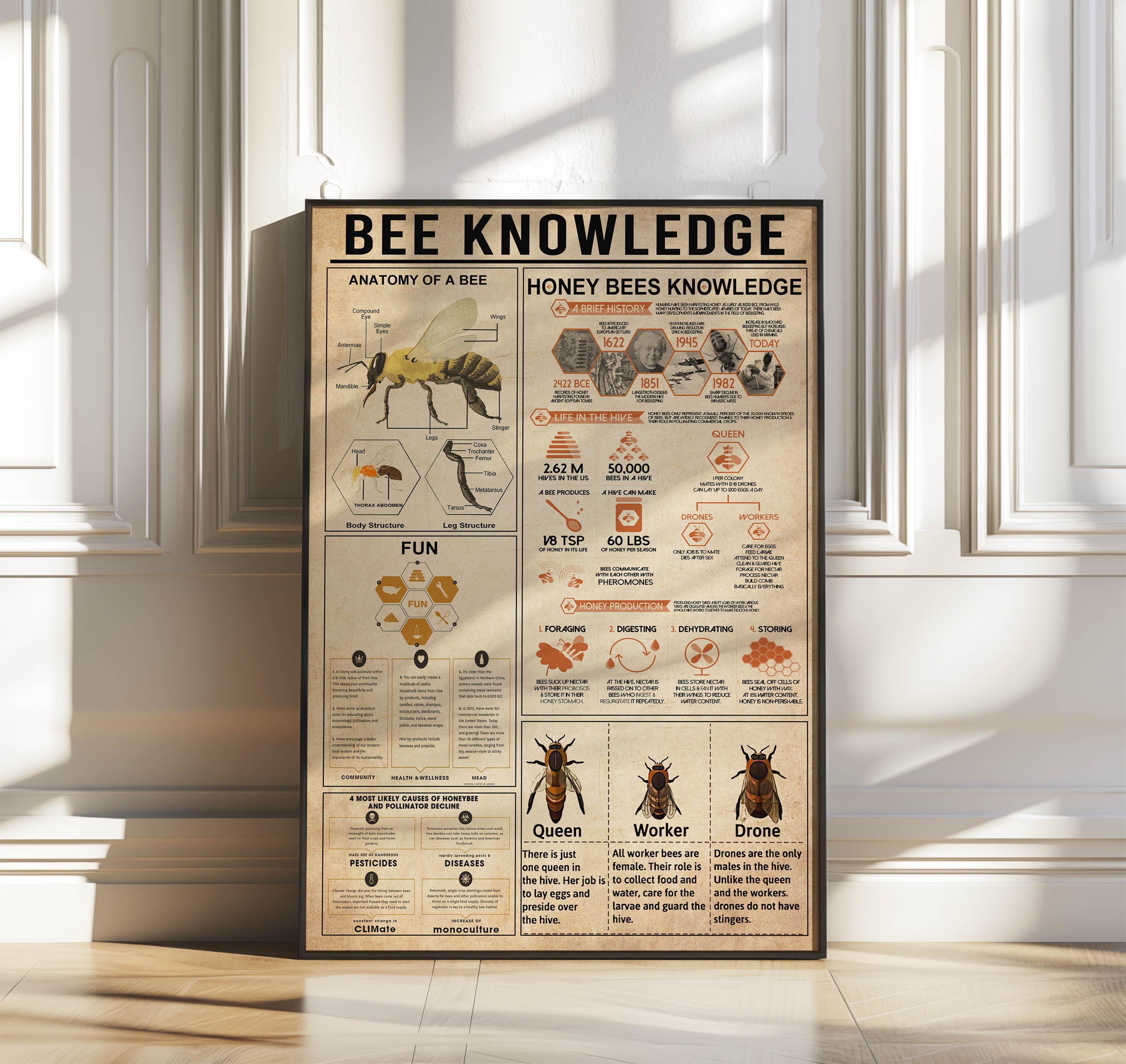 DIANANA Bee Knowledge Poster, Honey bee fun facts, Bee Wall art, Honey ...