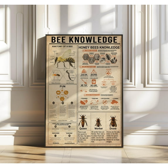 DIANANA Bee Knowledge Poster, Honey bee fun facts, Bee Wall art, Honey ...