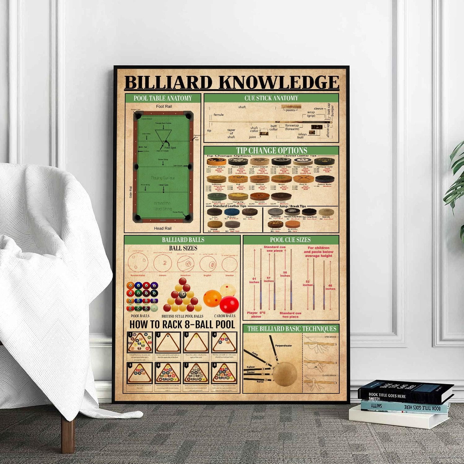DIANANA Billiards Knowledge Poster: Pool Anatomy & Rules - Walmart.com