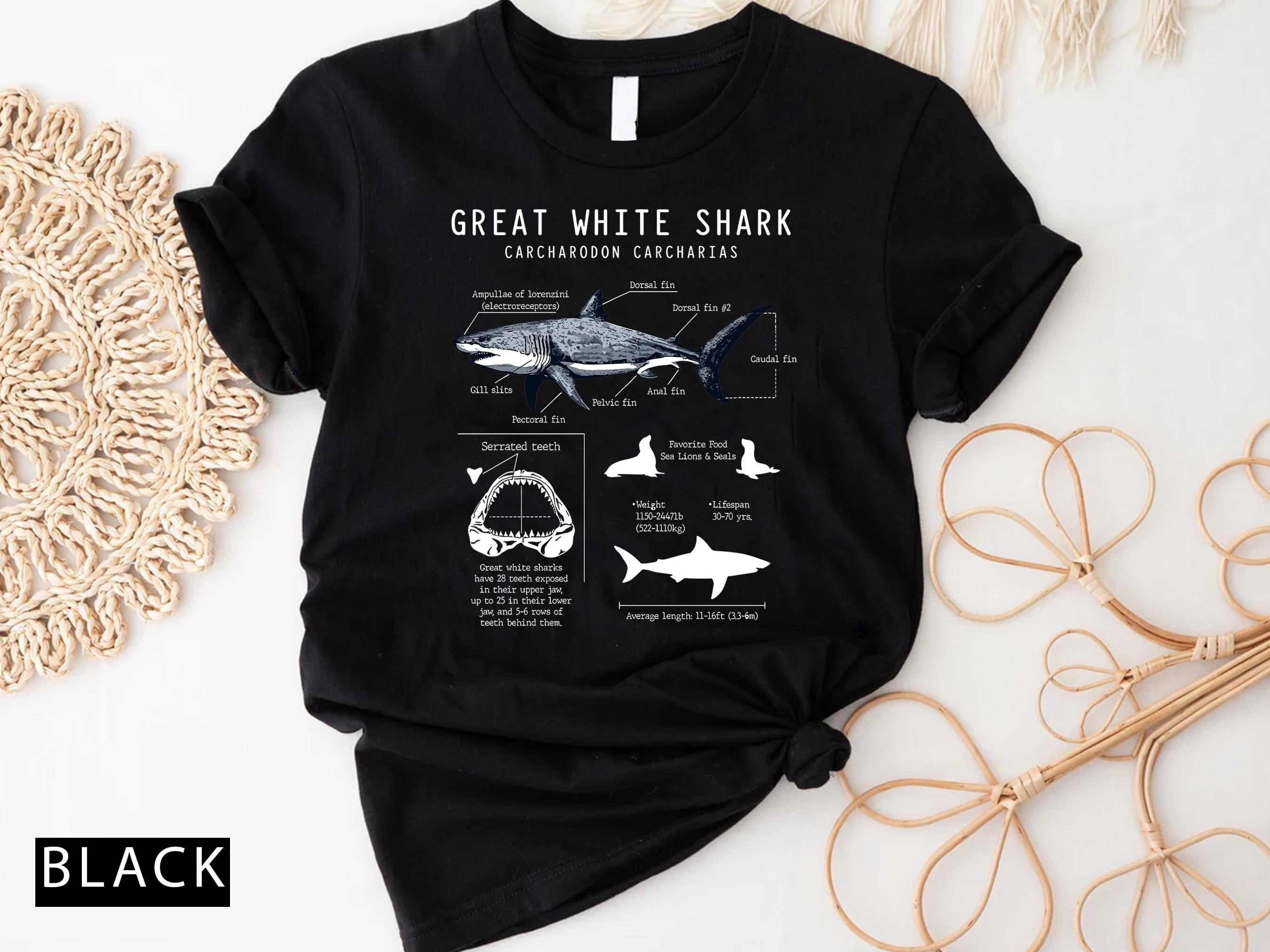 DIANANA Great White Shark Anatomy T-shirt, Shark Shirt, Great White ...