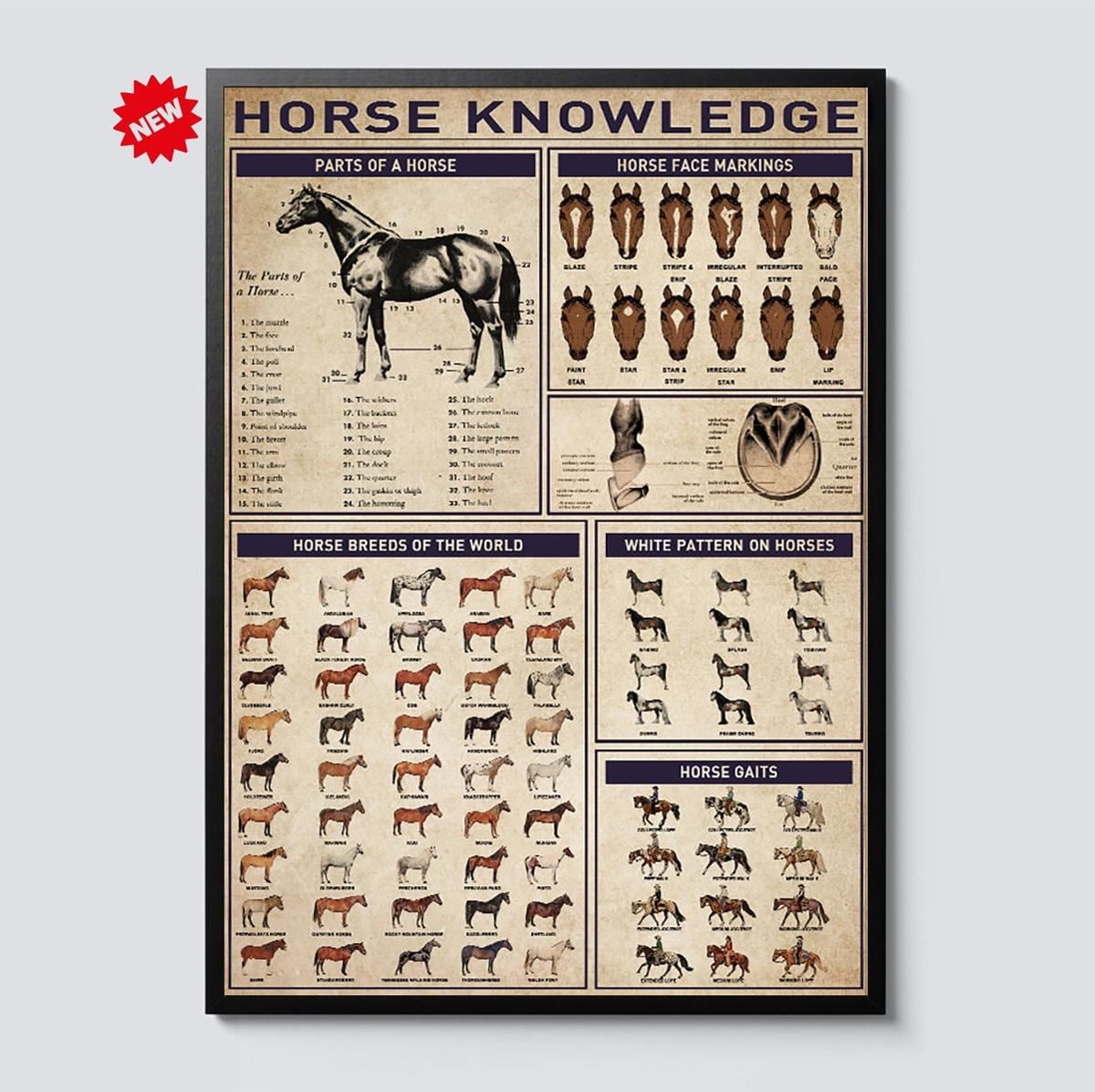 DIANANA Horse Knowledge Poster, , Educational Equine Chart, Equestrian ...