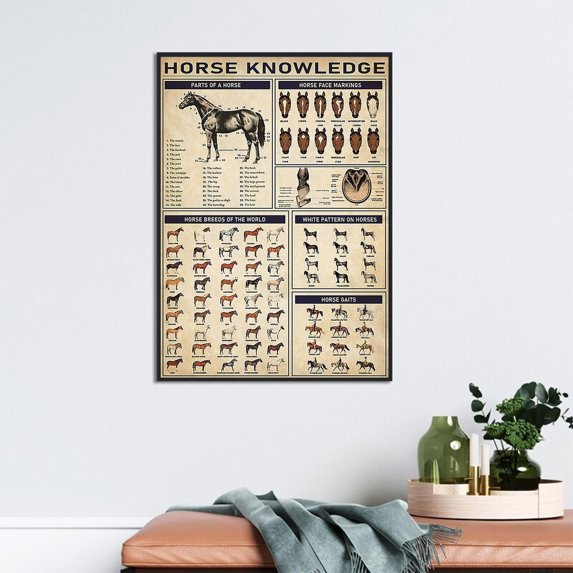 DIANANA Horse Knowledge Wall Art, Parts Of A Horse, Horse Lovers Gift ...