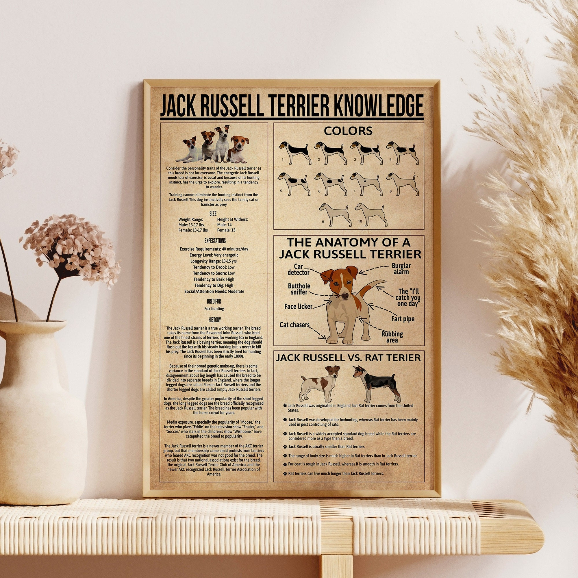DIANANA Jack Russell Terrier Knowledge Poster, Dog Poster, Vintage ...