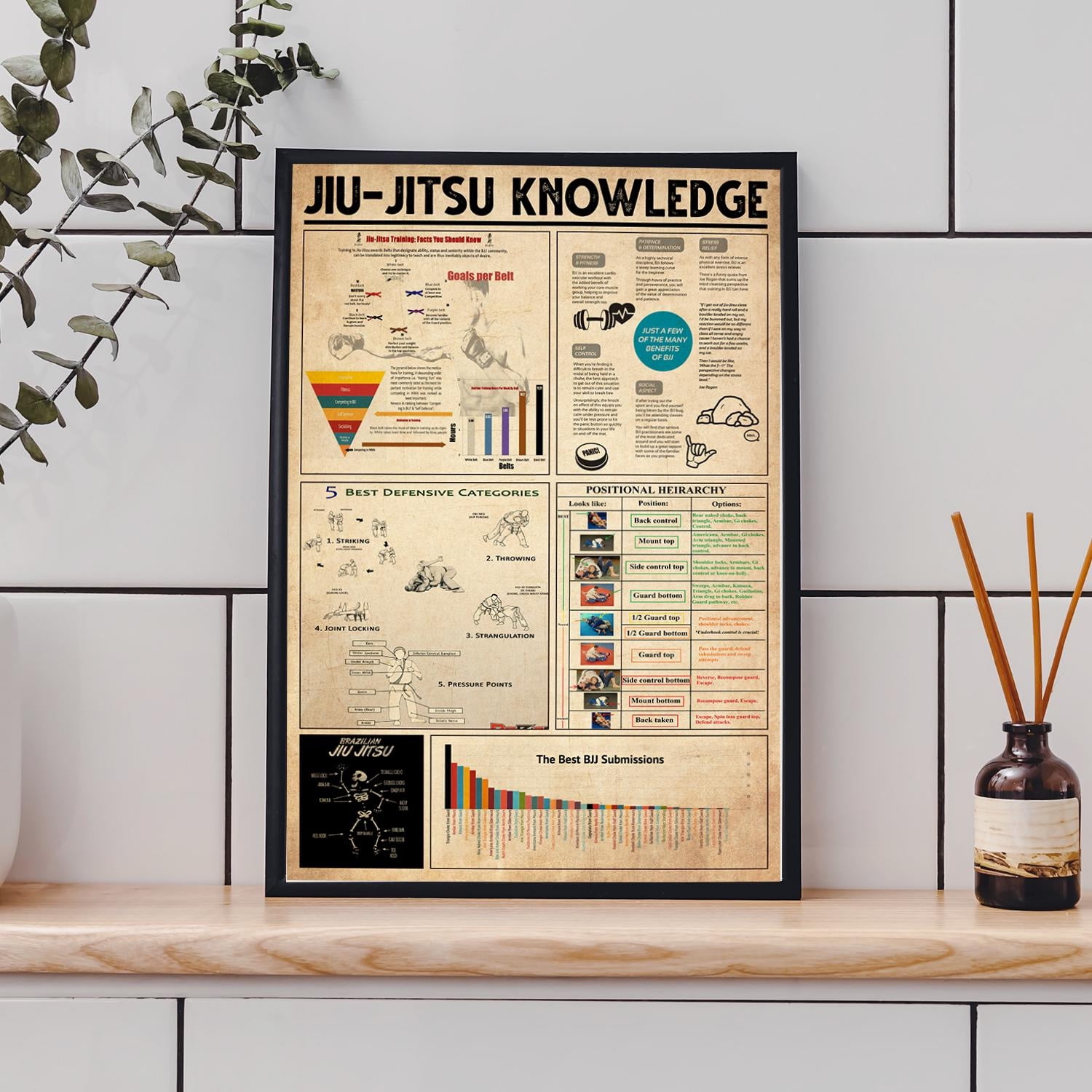 DIANANA Jiu Jitsu Knowledge Poster, Jiu Jitsu Techniques Poster ...
