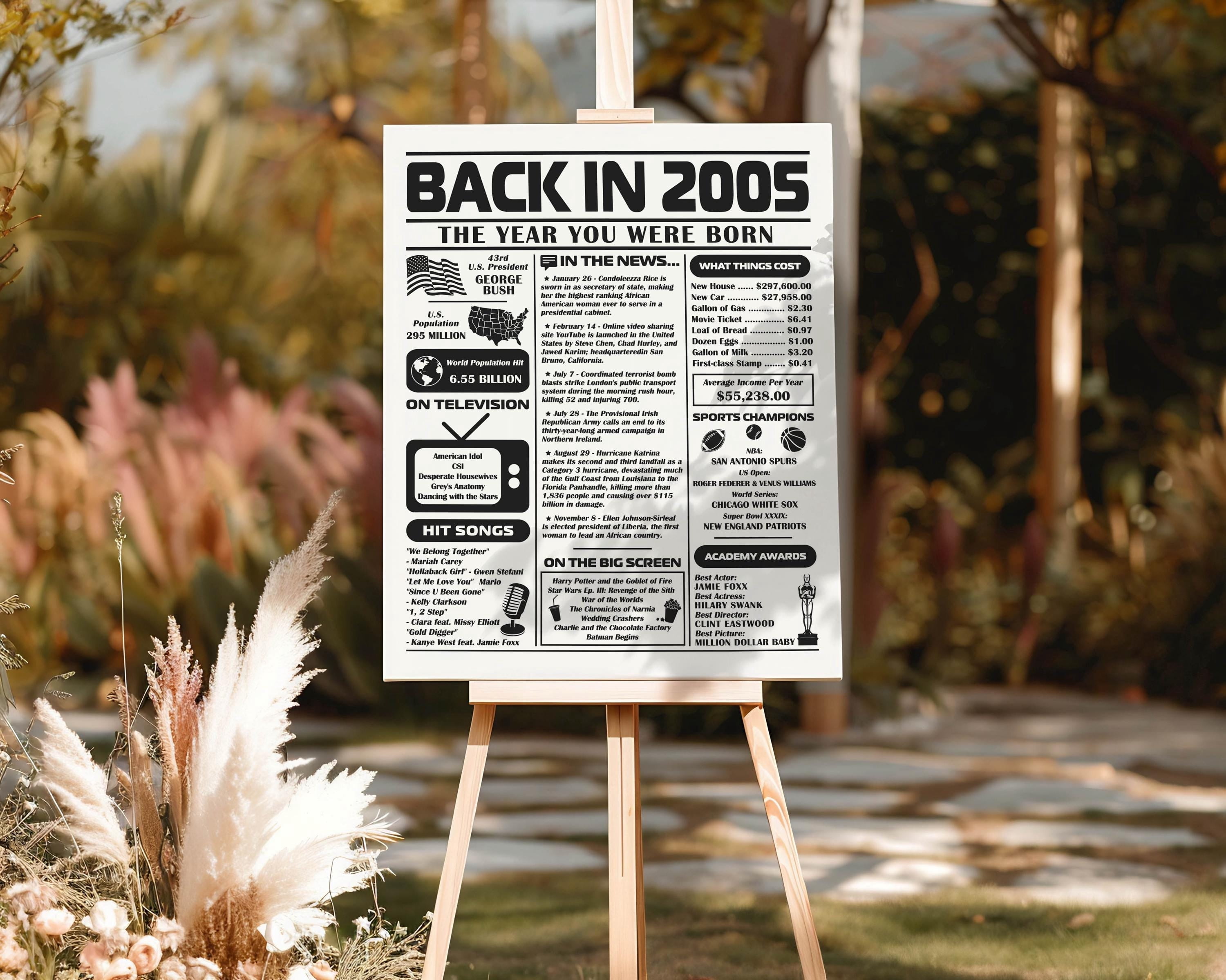 DIANANA Personalized 2005 Birthday Facts Poster, 20th Anniversary ...