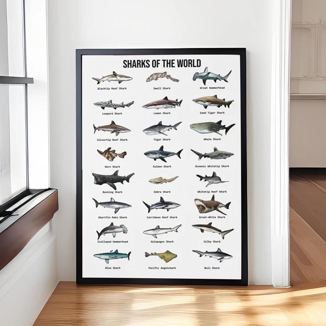 DIANANA Sharks Of The World Retro Poster/, Sharks Poster, Shark Lover ...