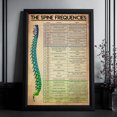 DIANANA Spine frequencies Poster, Spine Anatomy Poster, Human Spine ...