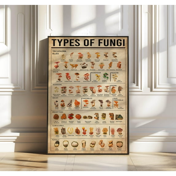 DIANANA Types Of Fungi Print, Knowledge Art, Kitchen Decor, Of The ...