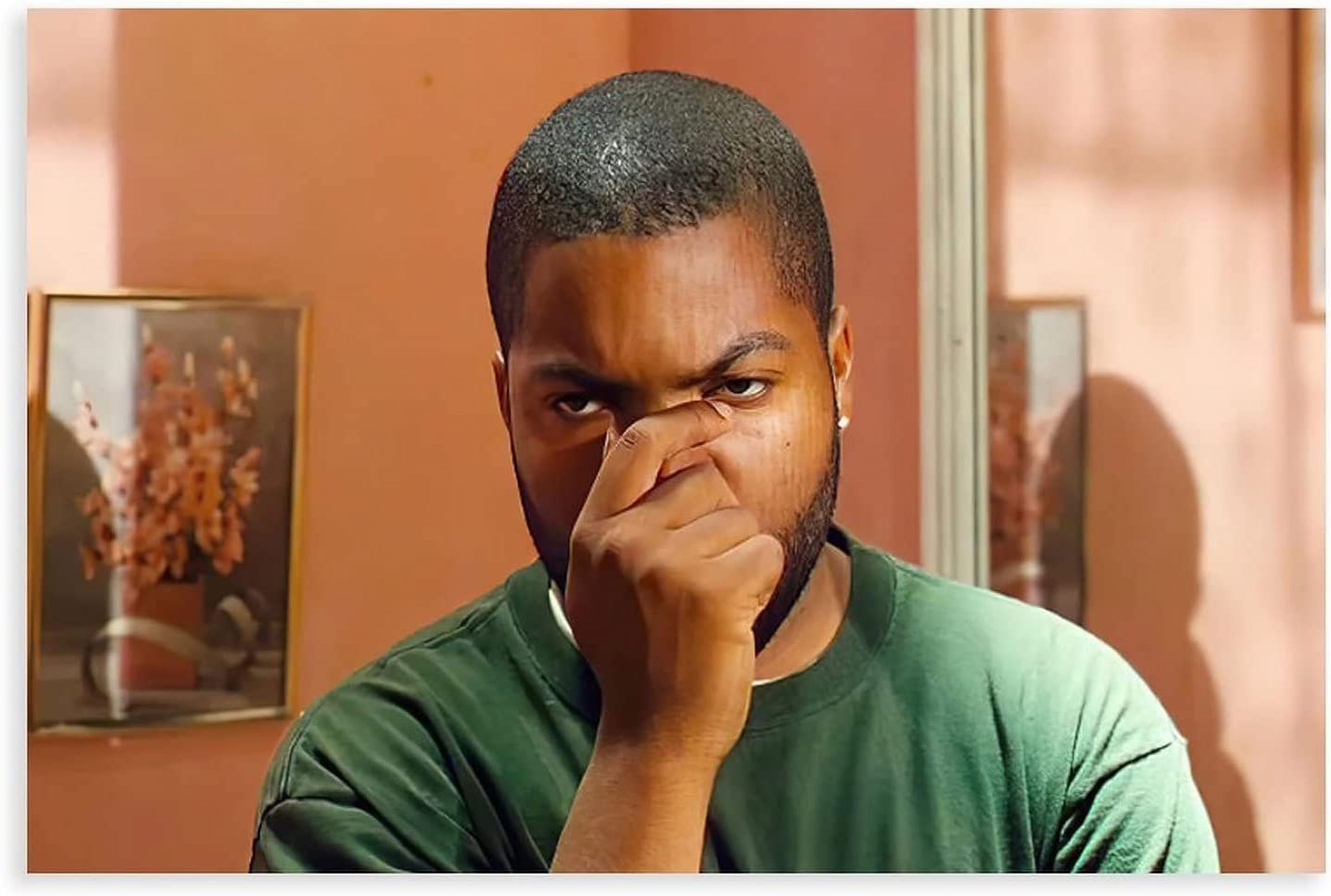 DIANSHANG Dumb And Dumber Funny Movie Posters Harry Dunn In The Toilet ...