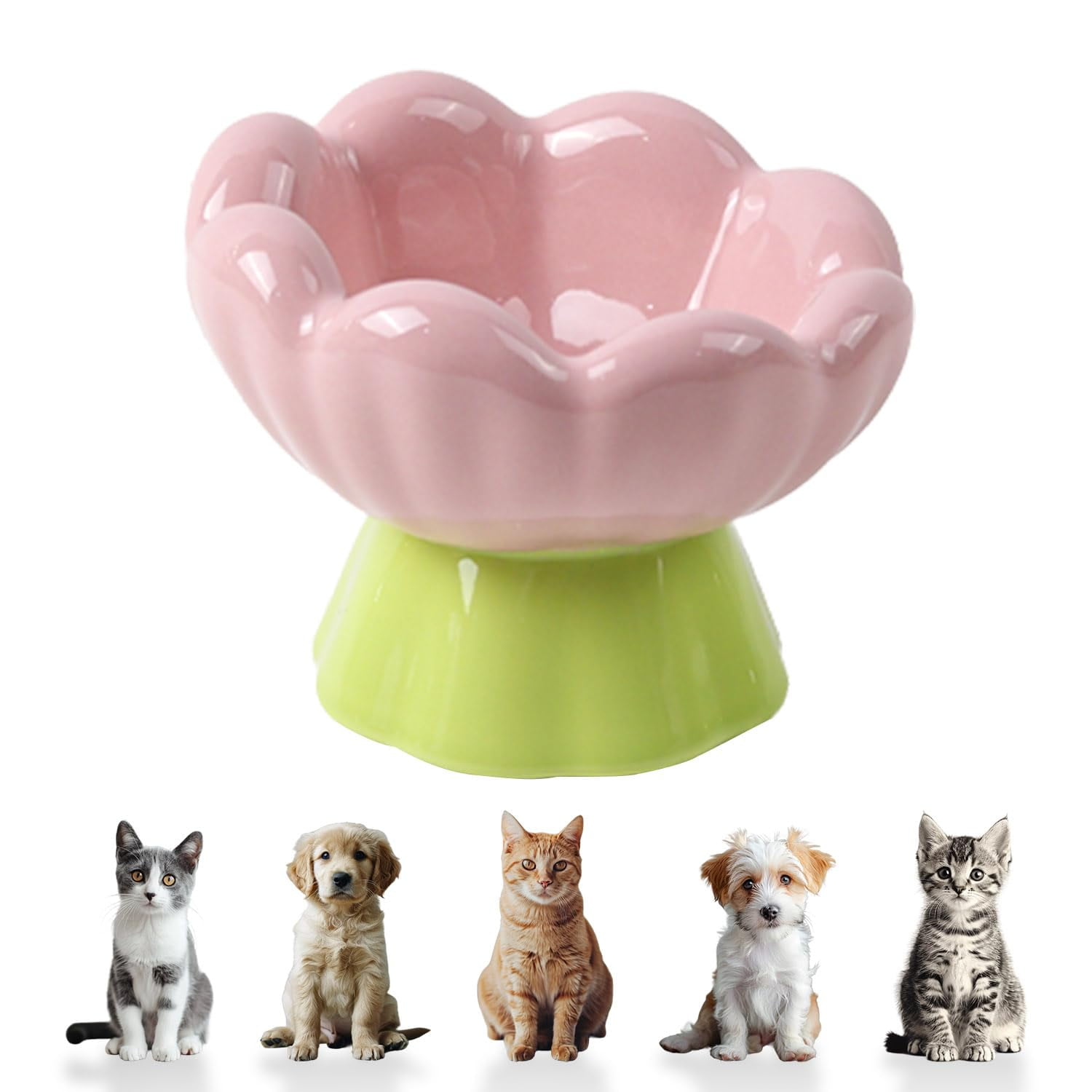 DIF DECO Ceramic Raised Bowl, Pink Elevated Food Bowls for Food and ...
