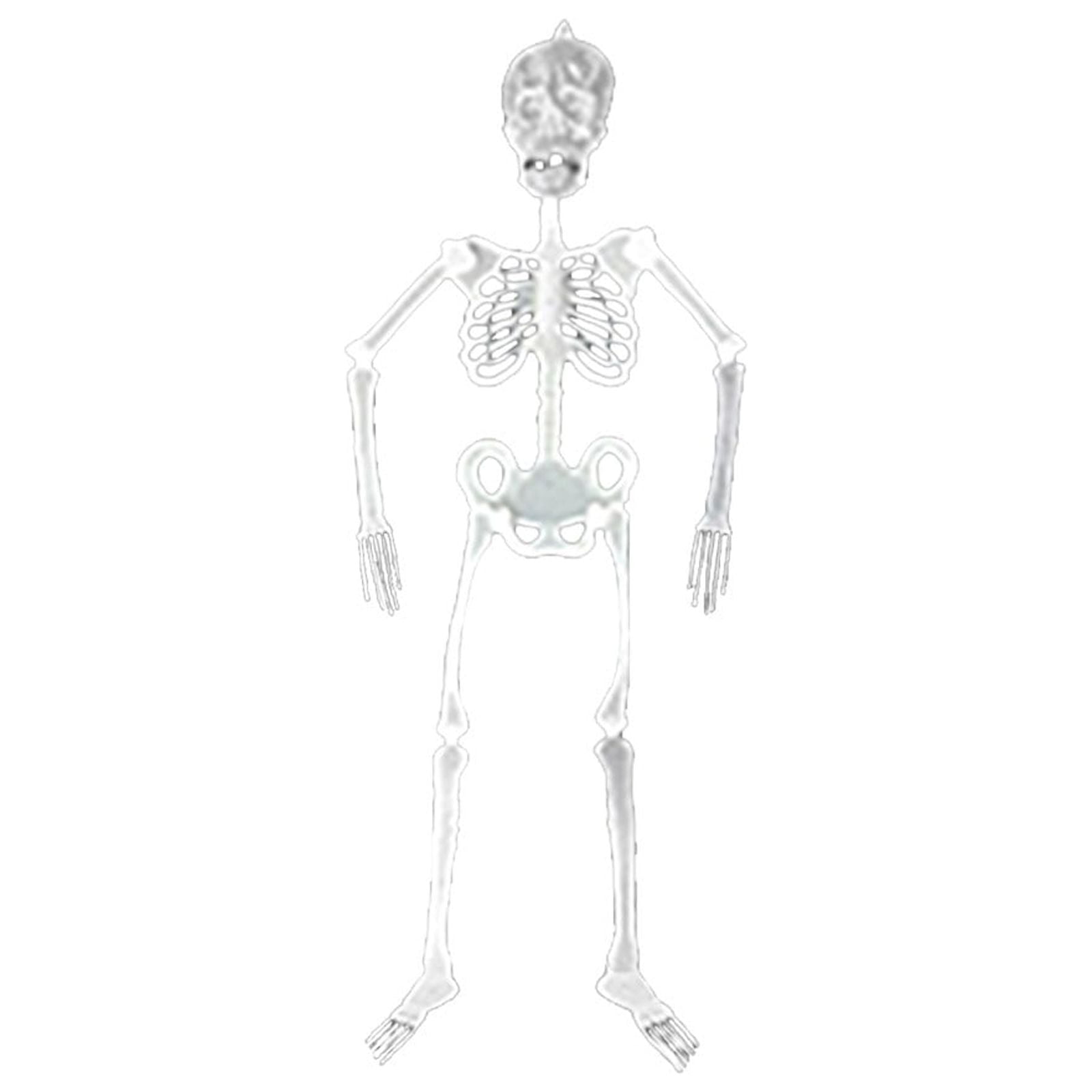 DIN-outstand 2025 NEW Luminous Skeleton Body Halloween Prop Fluorescent ...