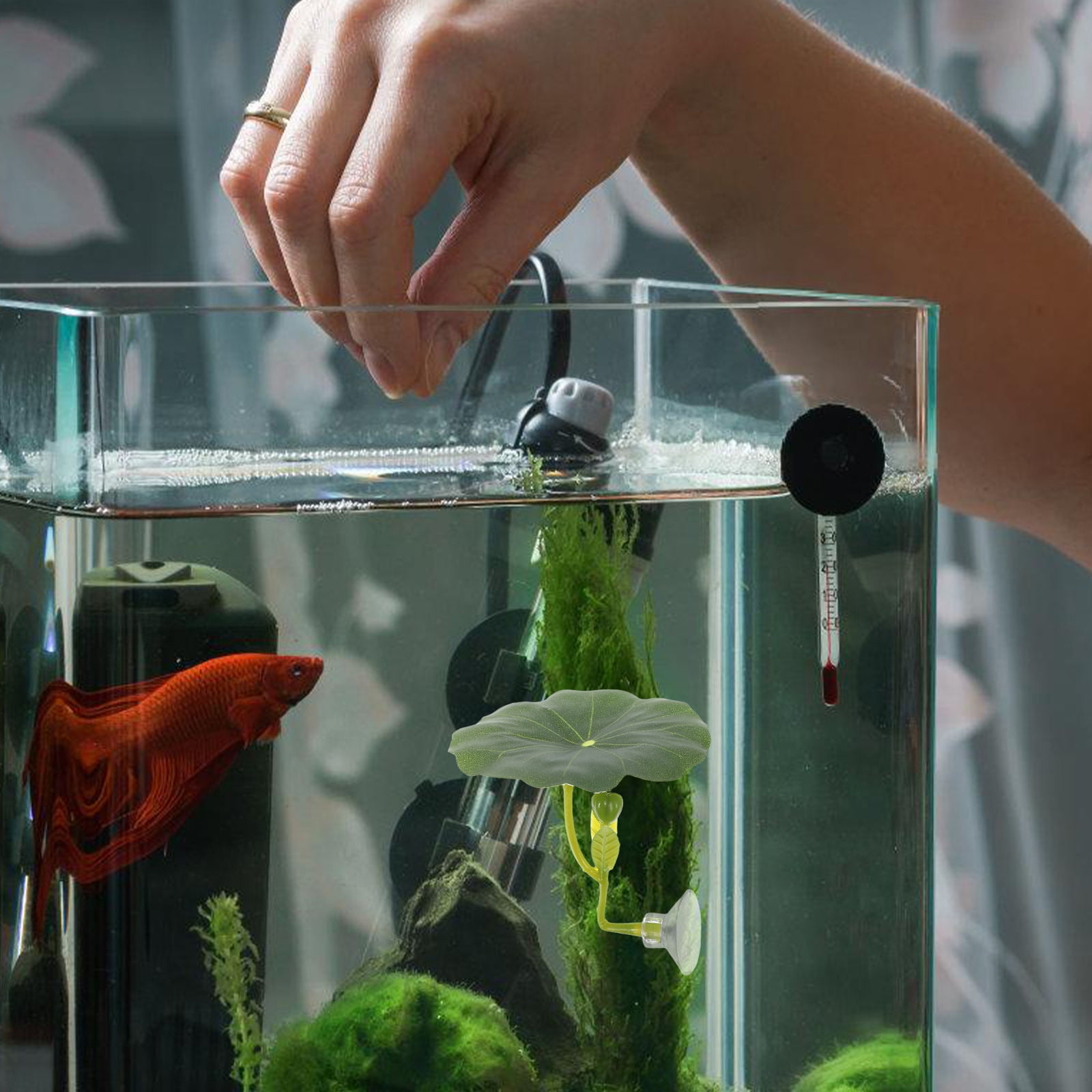 DINHEAROM 1Set Betta Fish Resting Spot Artificial Lotus Leaves Aquarium ...