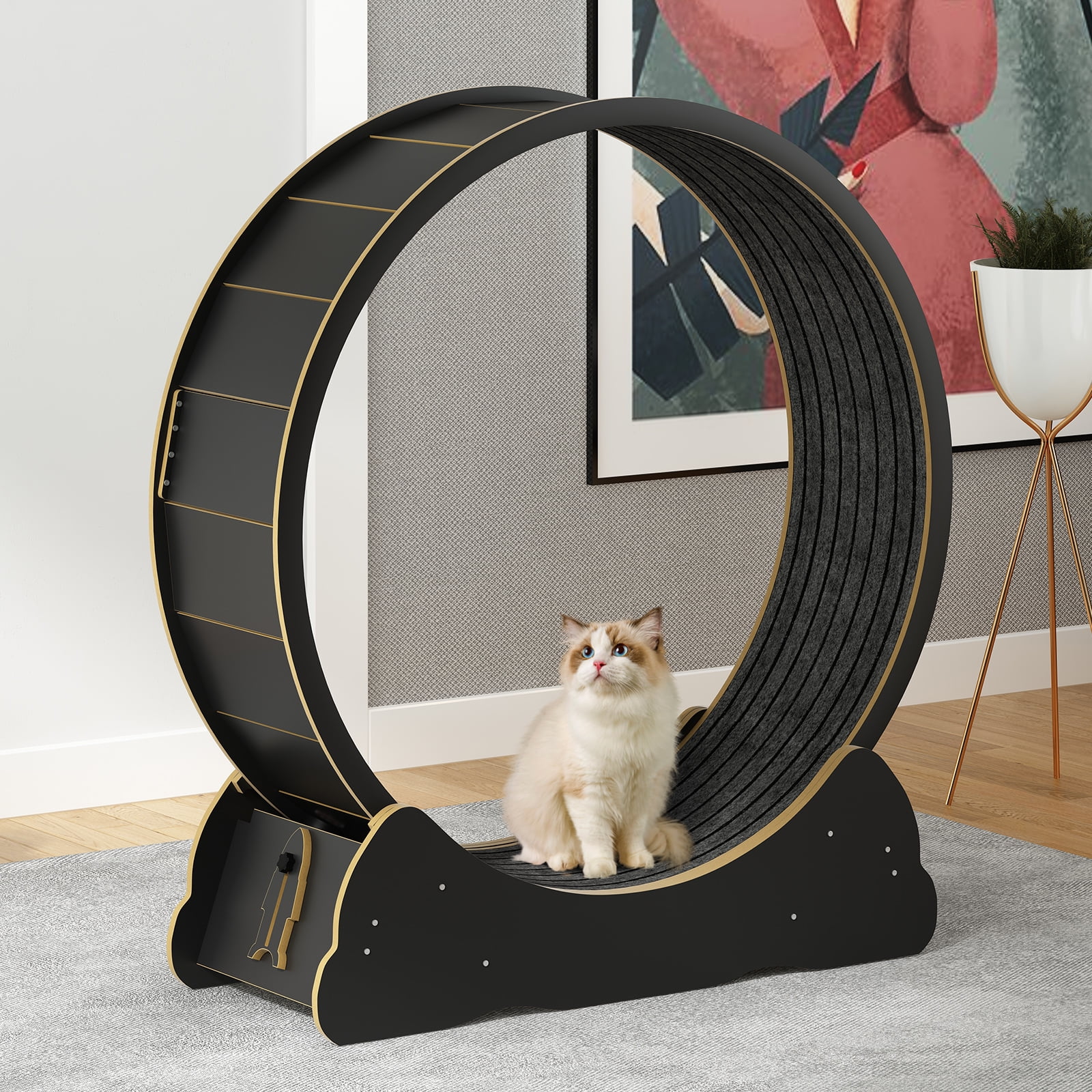 DISHUP 45" Cat Wheel Exerciser for Indoor Cats,Cat Running Wheel for ...